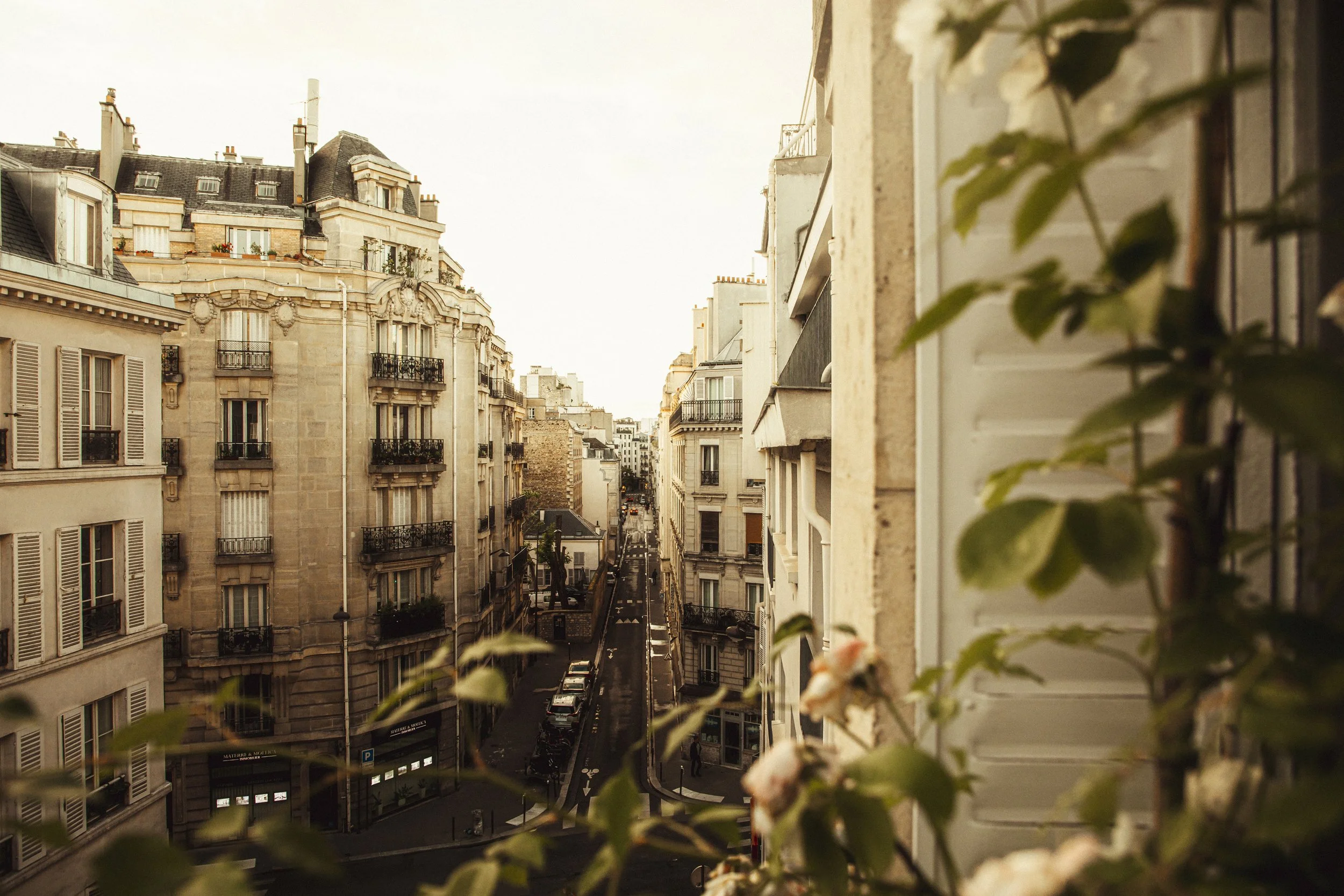 The Paris 6th Arrondissement Travel Guide — the weithouse