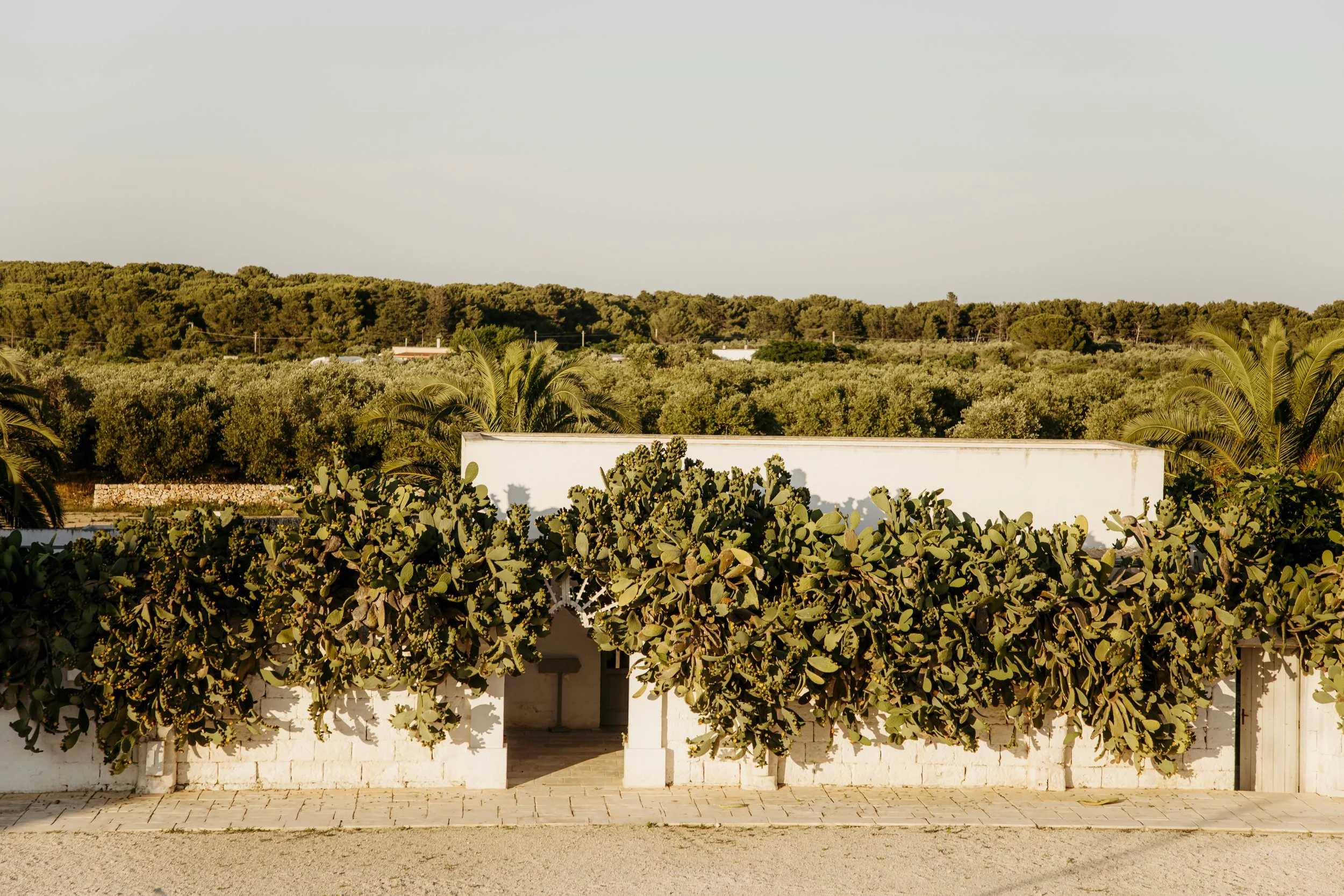 Southern Italy: The Most Beautiful Hotels in Puglia — the weithouse