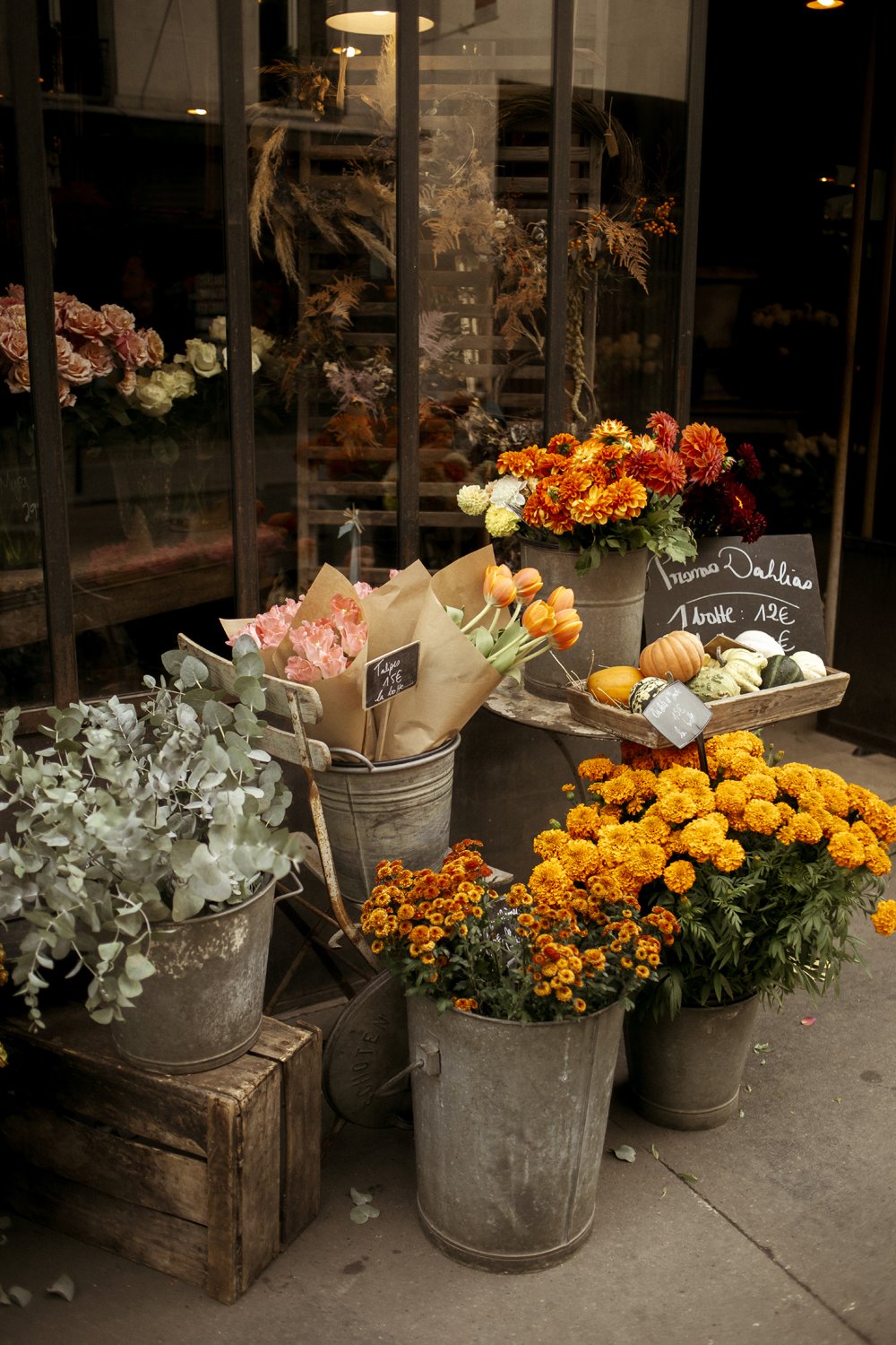 The Complete Travel Guide: Paris, France — the weithouse