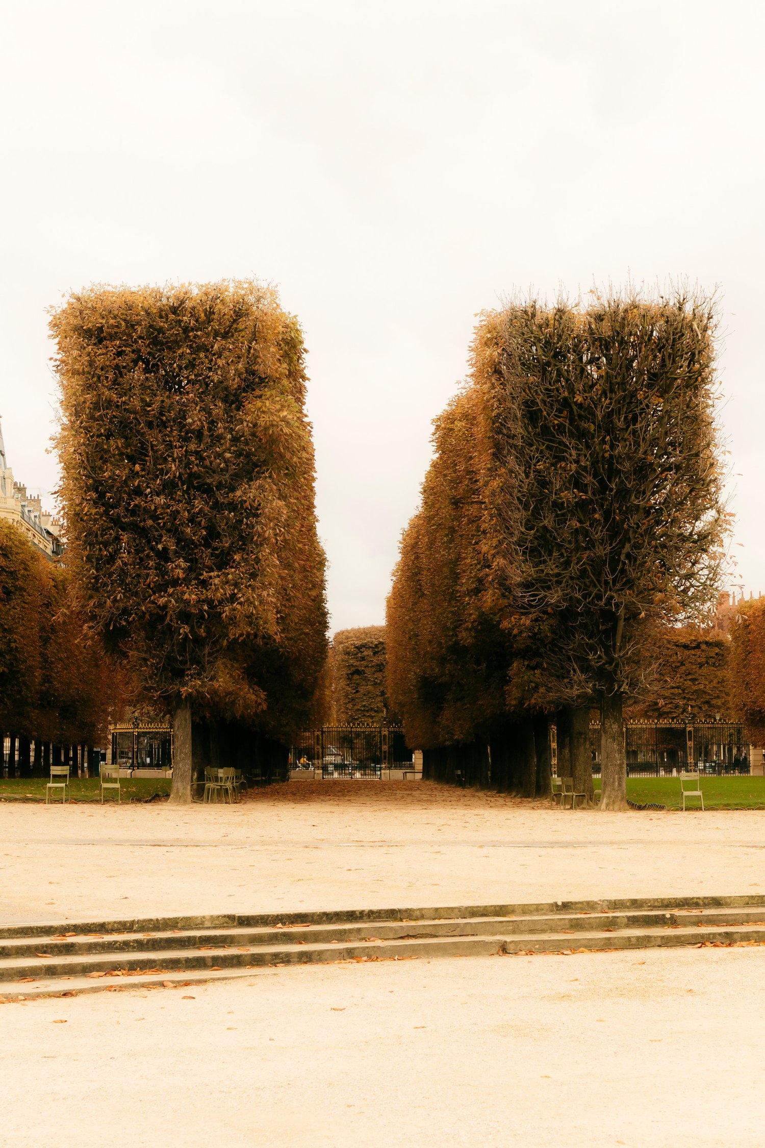 Paris in October (A Fall Travel Guide) — the weithouse