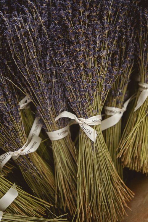 The Compete Provence Travel Guide — the weithouse
