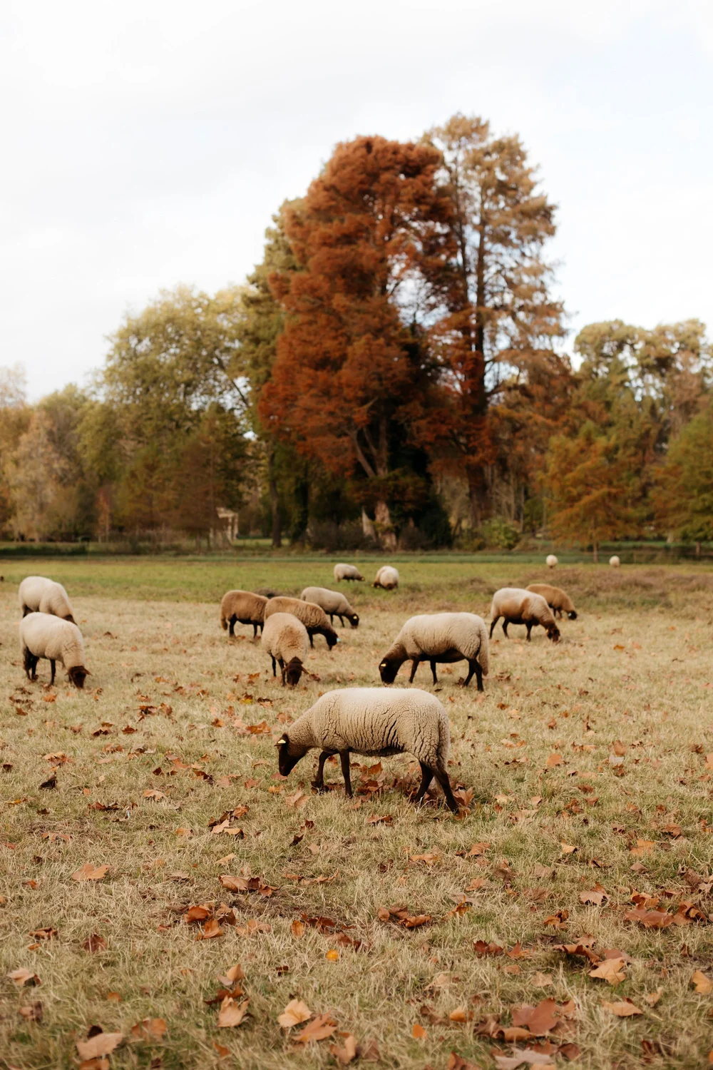 The Château de Chantilly Day Trip Travel Guide — the weithouse