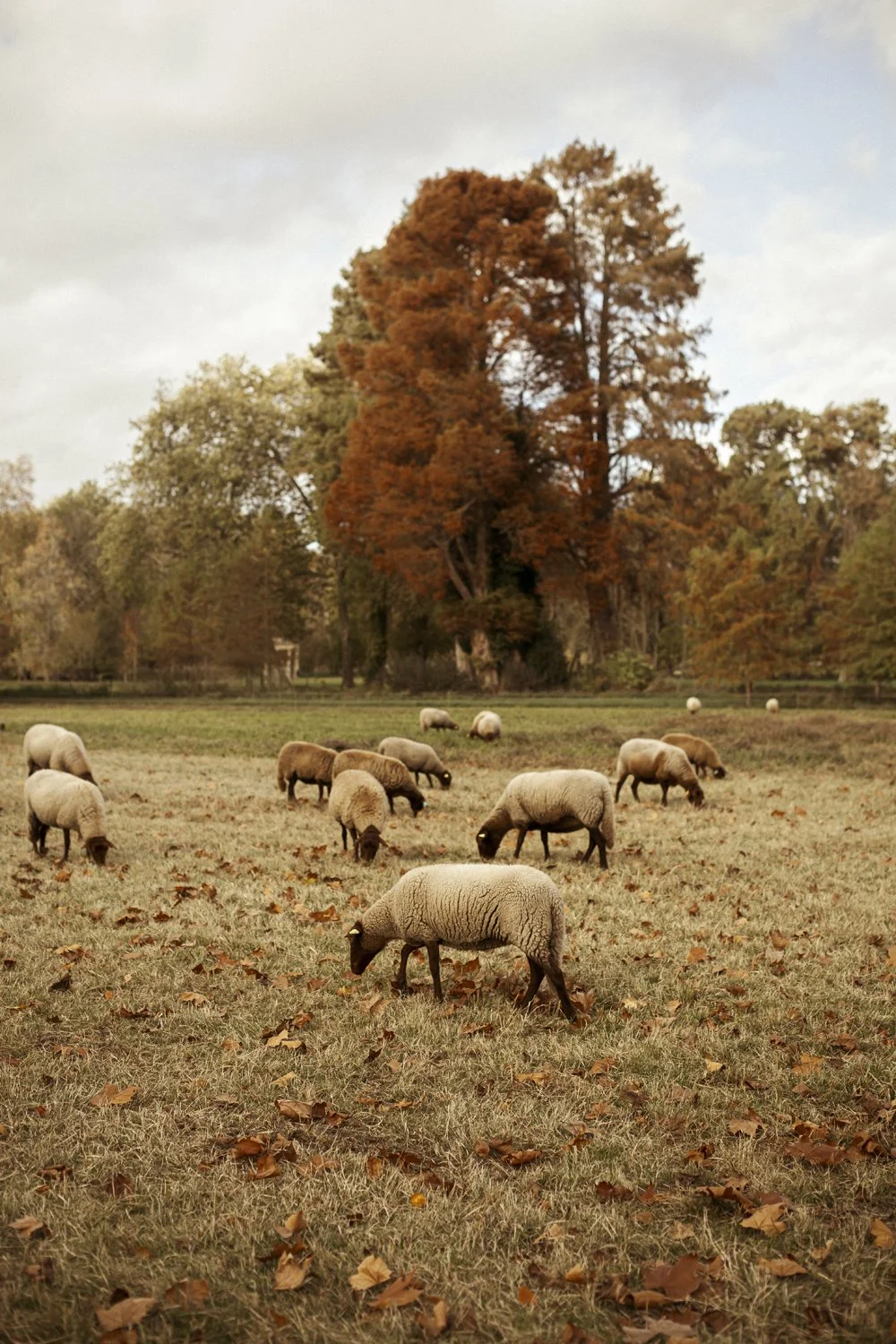 Paris Day Trips: Château de Chantilly — the weithouse