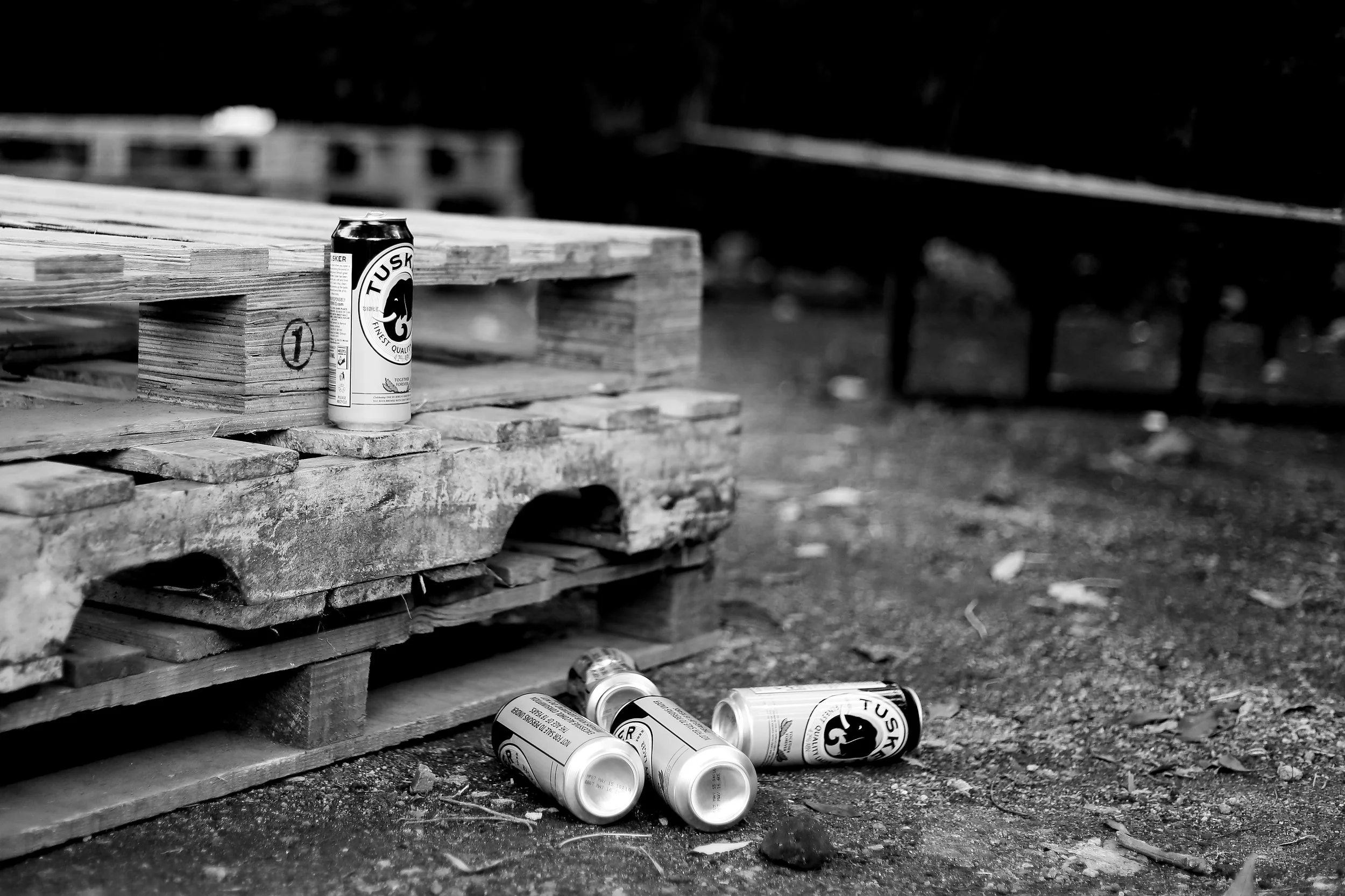 The melancholy beauty of abandoned/decaying things — Photography by ...