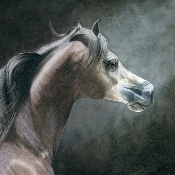 Main Gallery — The Old Auction House Creative Hub & Gallery | Kyneton ...