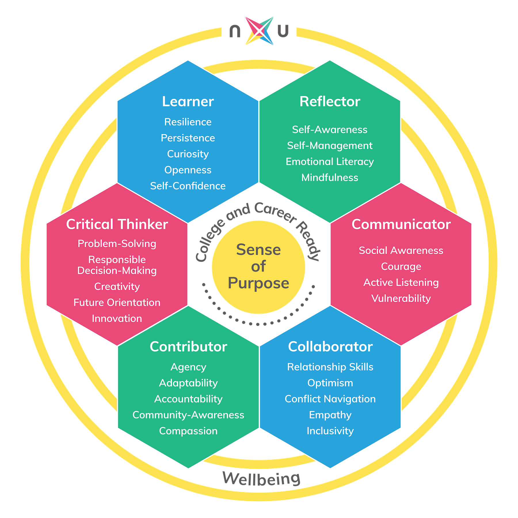 Explore the Curriculum — nXu