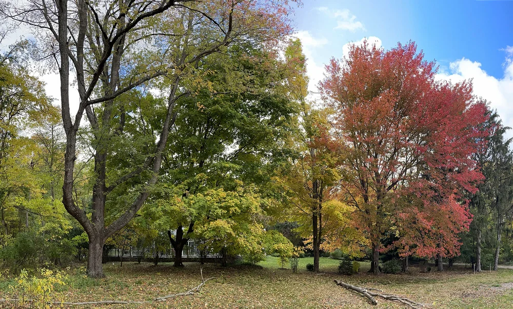 UrbanLab Architects single family one story courtyard house black metal ...