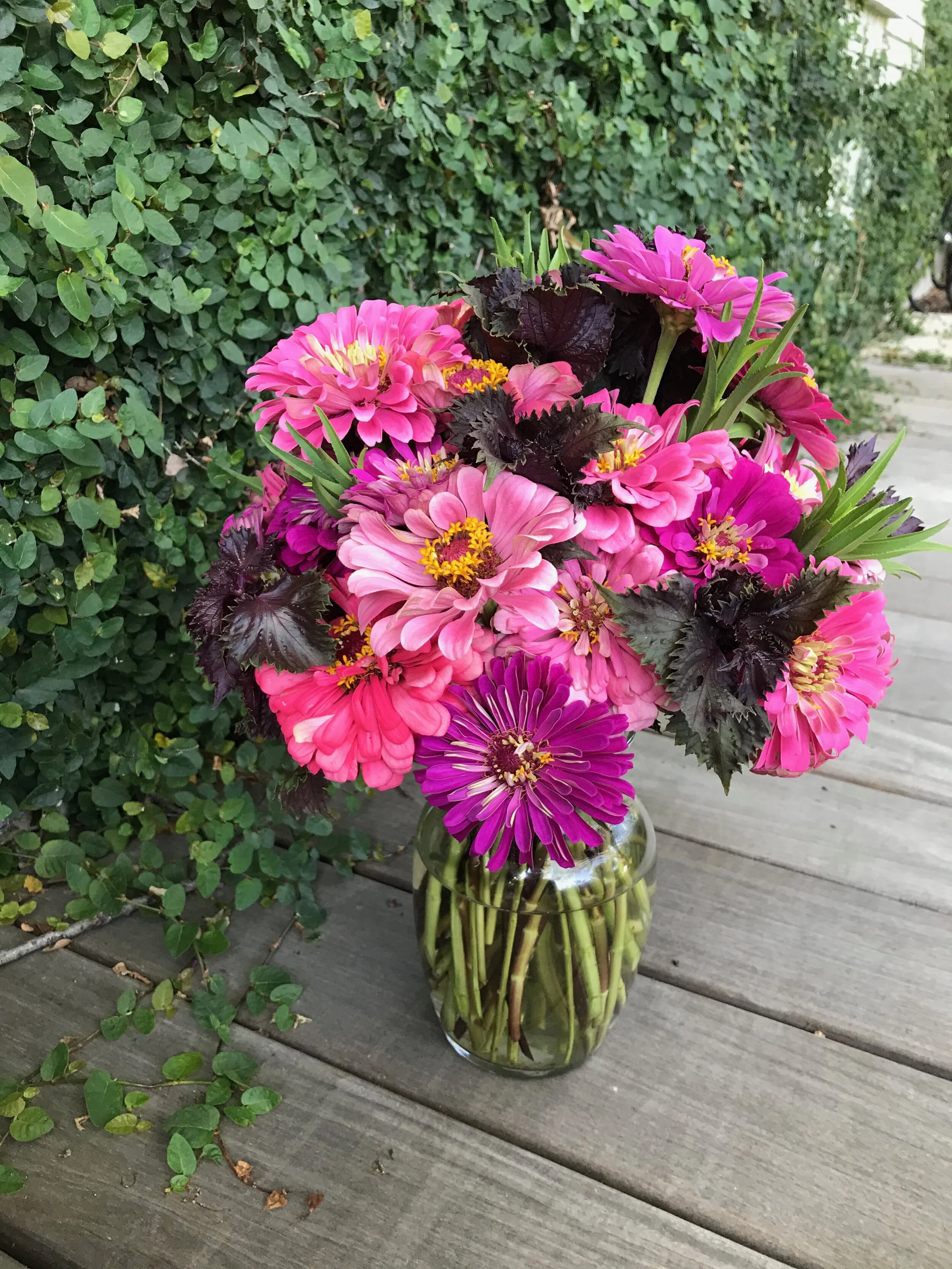 shop-the-farm-mars-hill-farm