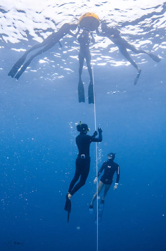 Dive Into Beginner Freediving Course by Liv For Sea 2026