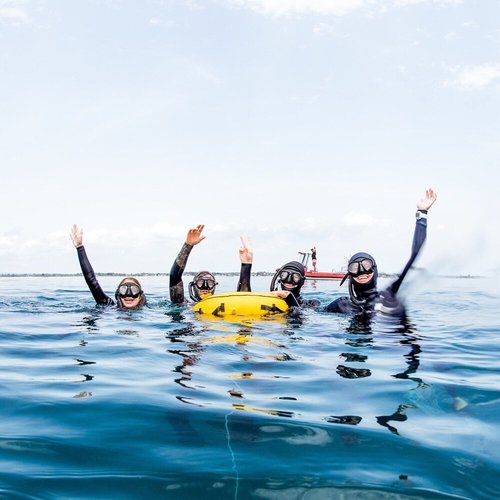 Beginner Freediver Course | WAVE ONE | Liv For The Sea