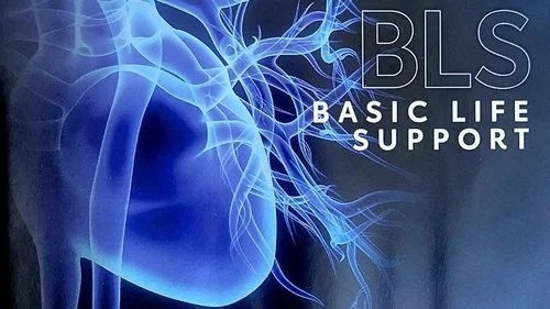 Basic Life Support (BLS) For Healthcare Providers — CPR For Life