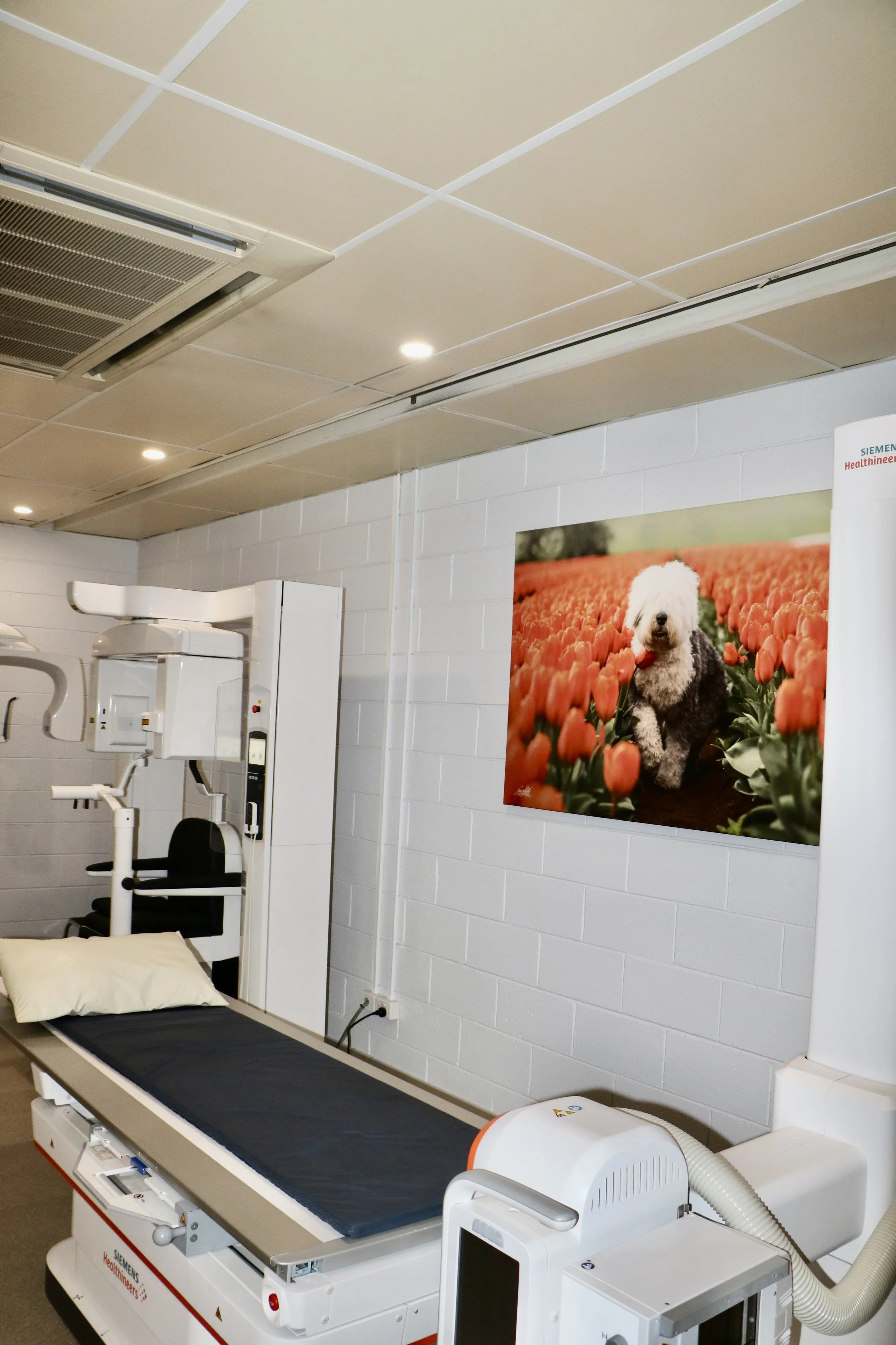 X-Ray and Radiology Services | X-Rays Launceston — X-Ray Newstead ...