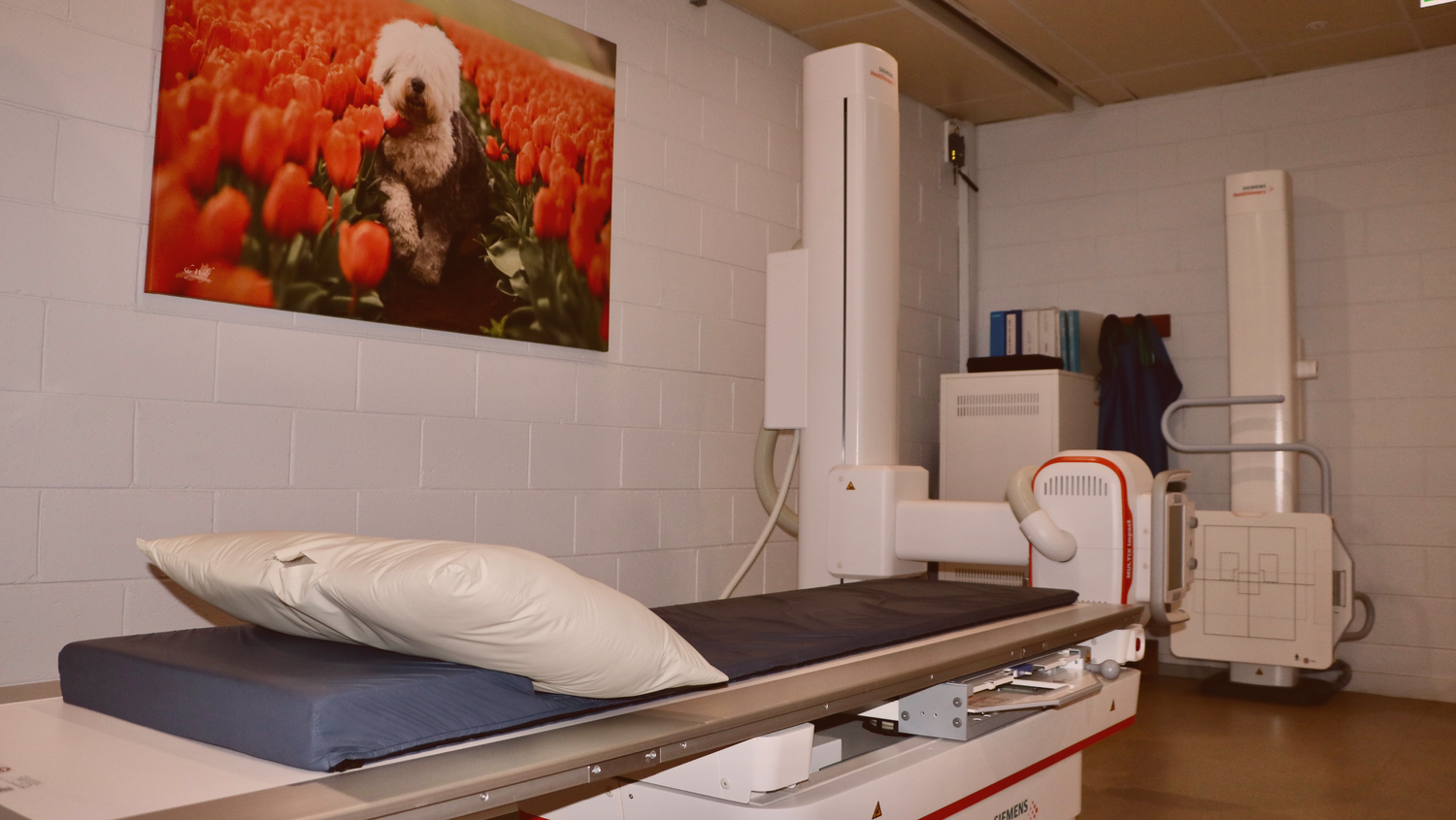 Patient Information — X-Ray Newstead | Launceston