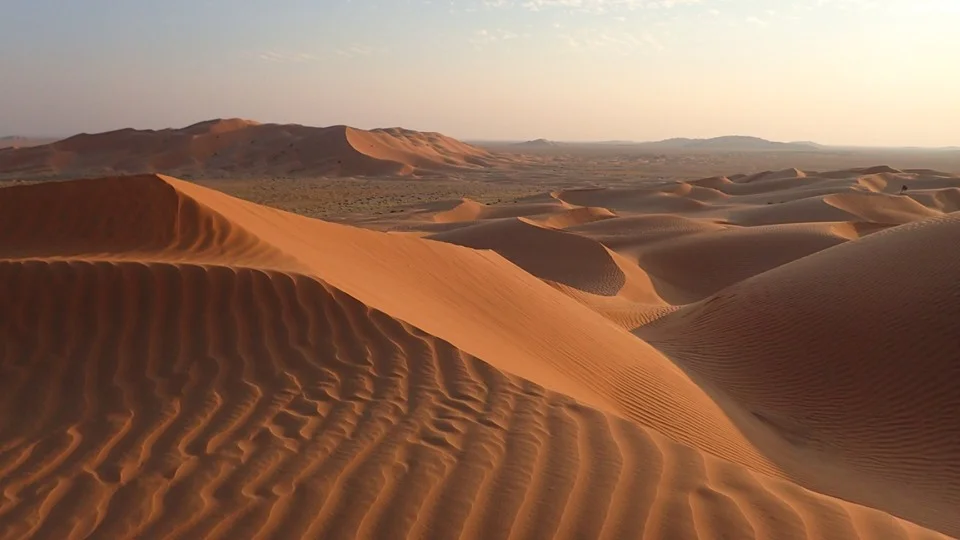 Arabian Compass Tours