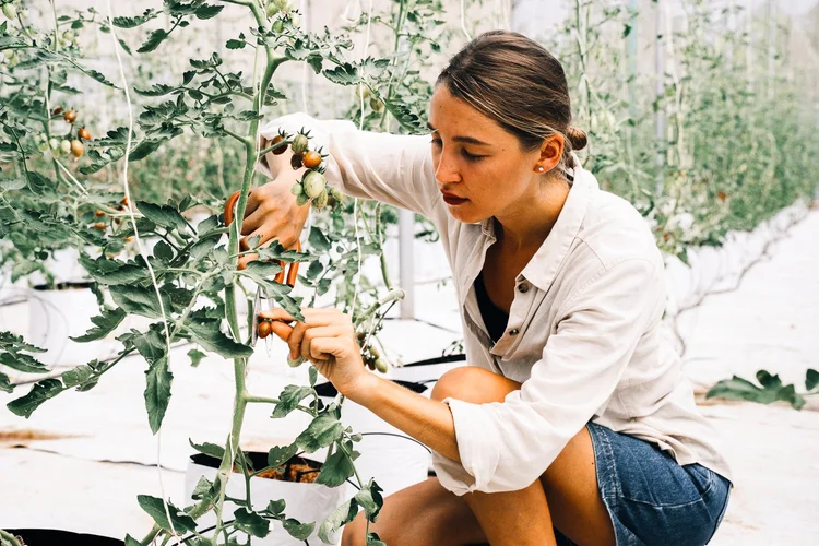 You Have to Prune So You Can Grow — Catholic Women in Business