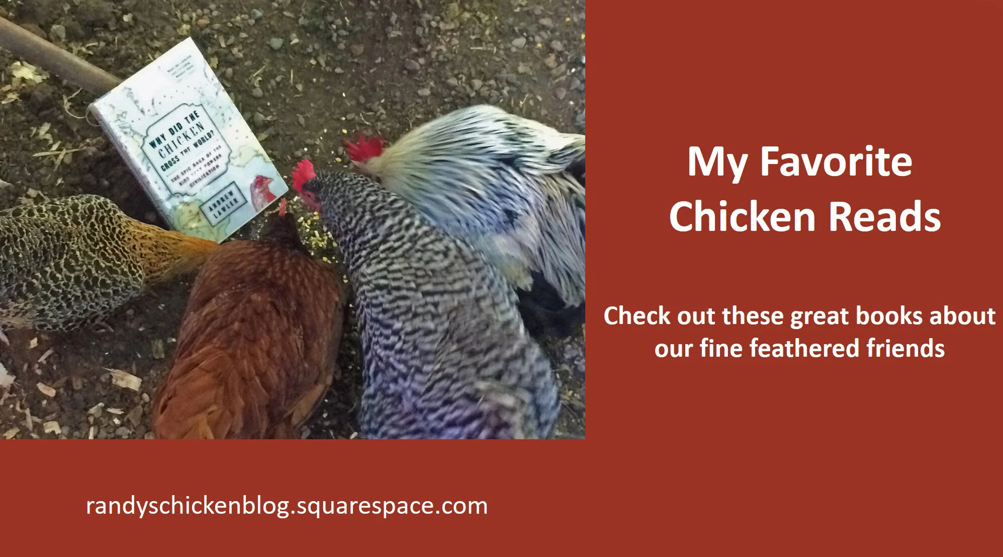 My Favorite Chicken Books - 2020 — Randy's Chicken Blog