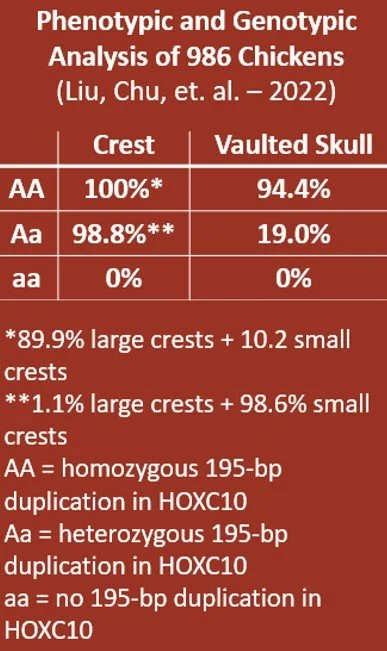 Crested Chickens, Vaulted Skulls, and Damaged Brains - Part 2: Crests ...