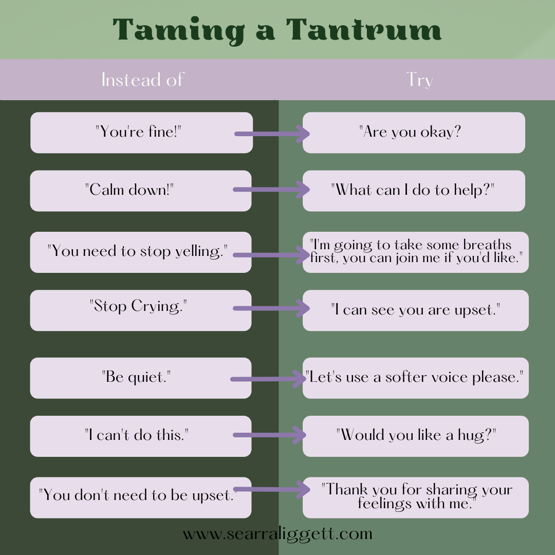 How To Use Gentle Parenting During A Tantrum — Searra Liggett