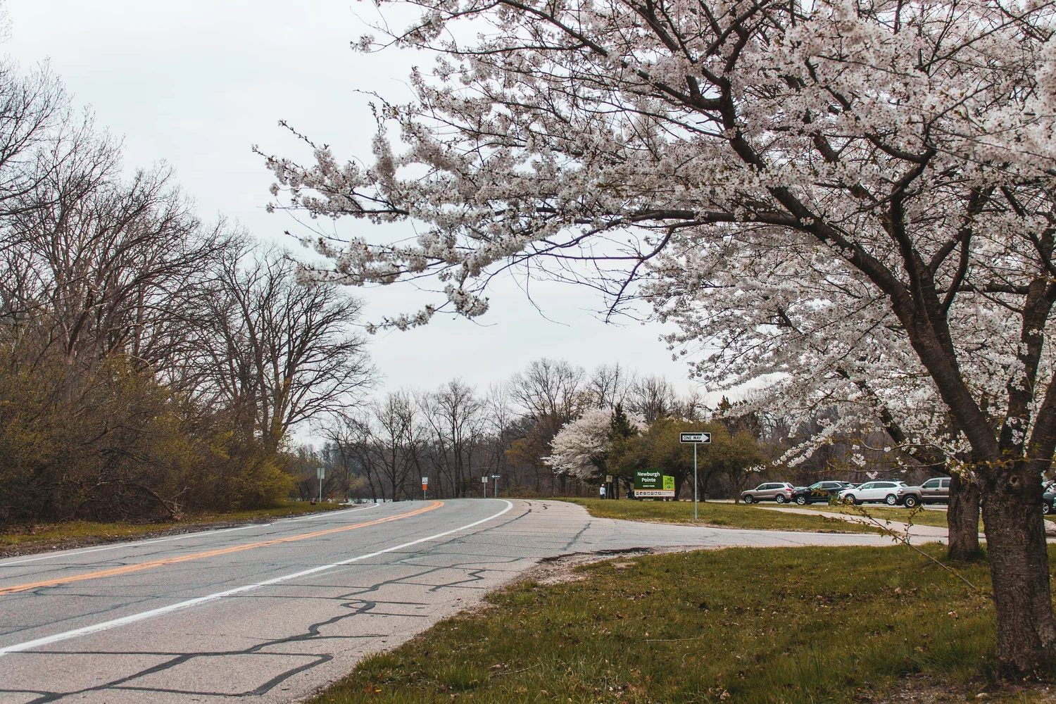 5 Scenic Drives to take in Michigan — Searra Liggett