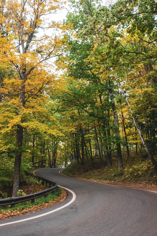 Complete Guide to The Tunnel of Trees, Michigan - M-119 Byway — Searra ...