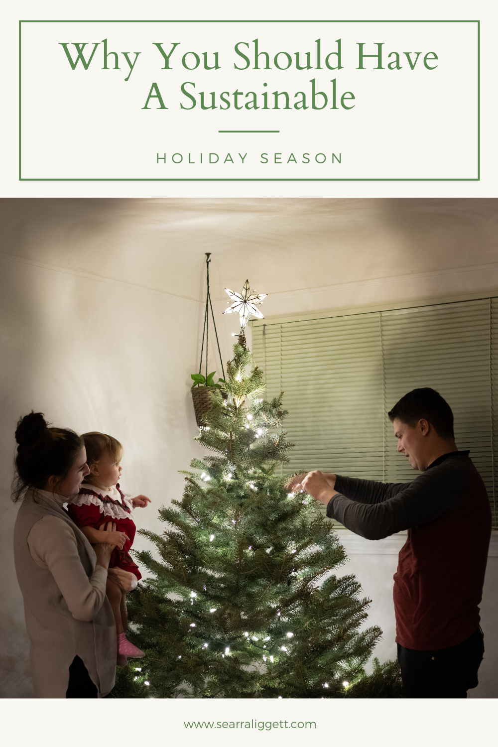 How To Have A Zero Waste Holiday This Year — Searra Liggett