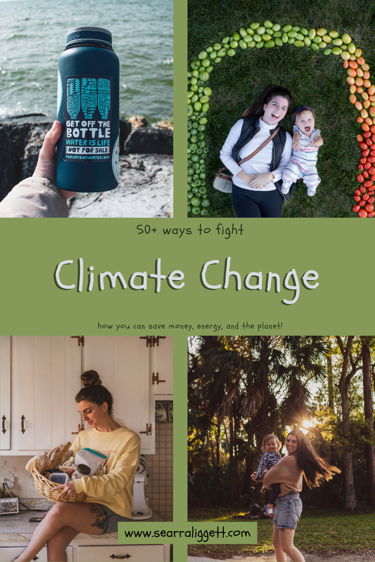 50+ Ways To Help Fight Climate Change and Help The Planet — Searra Liggett