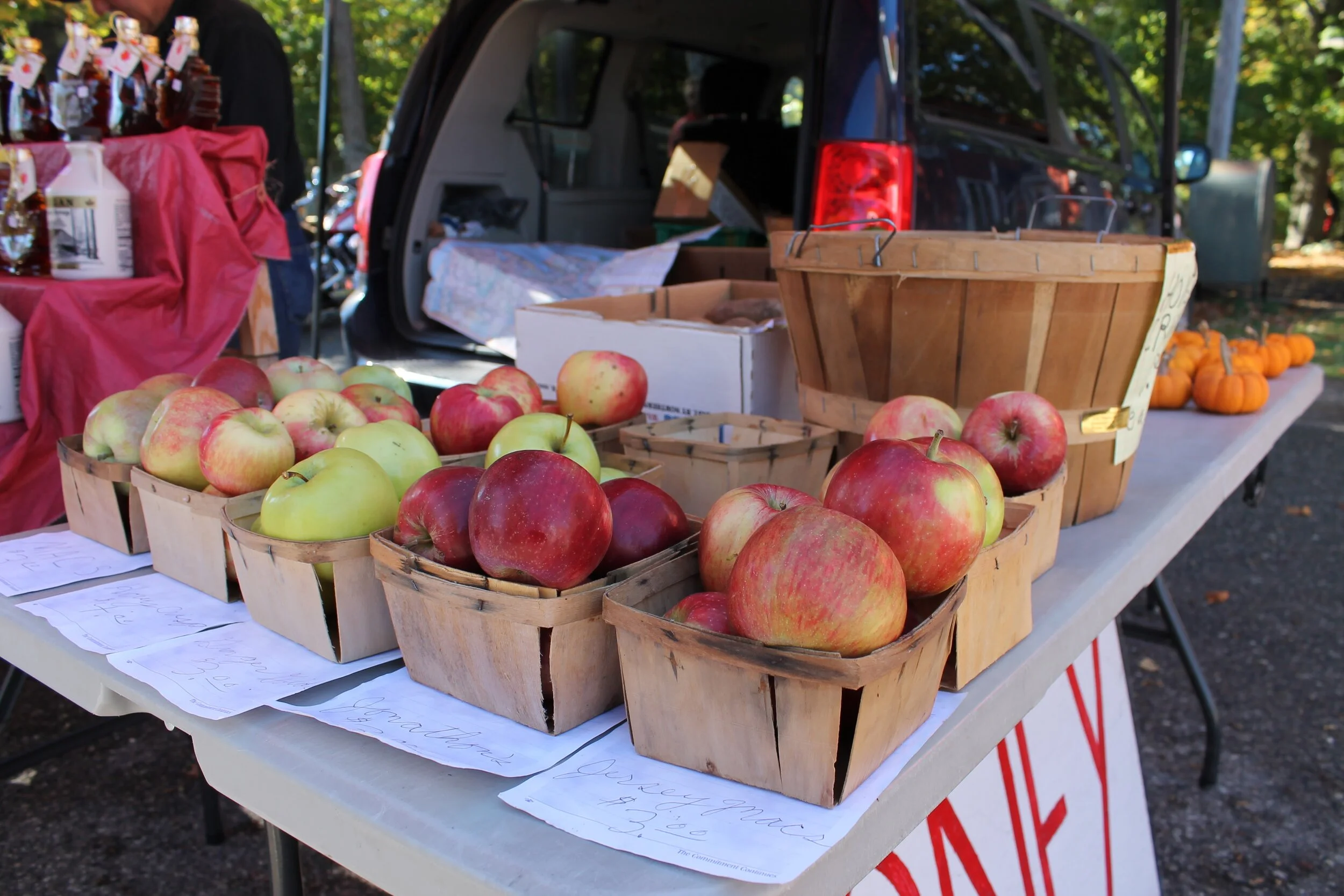 The Complete List of Orchards & Cider Mills in Michigan — Searra Liggett