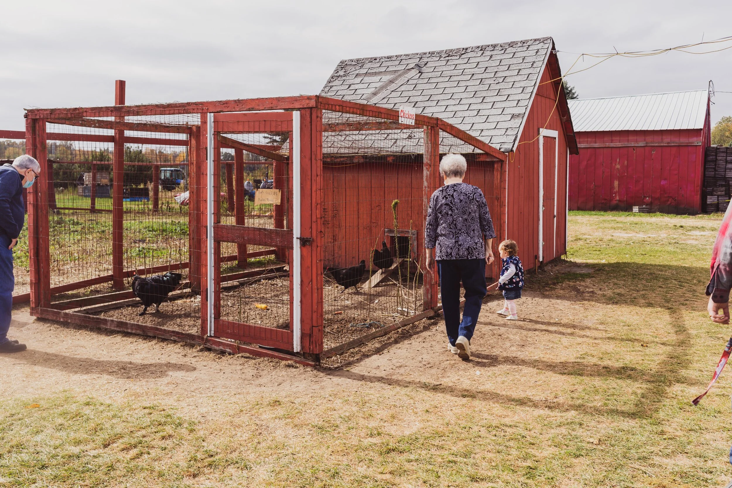 Apple Charlie's Orchards | Michigan Cider Mills — Searra Liggett