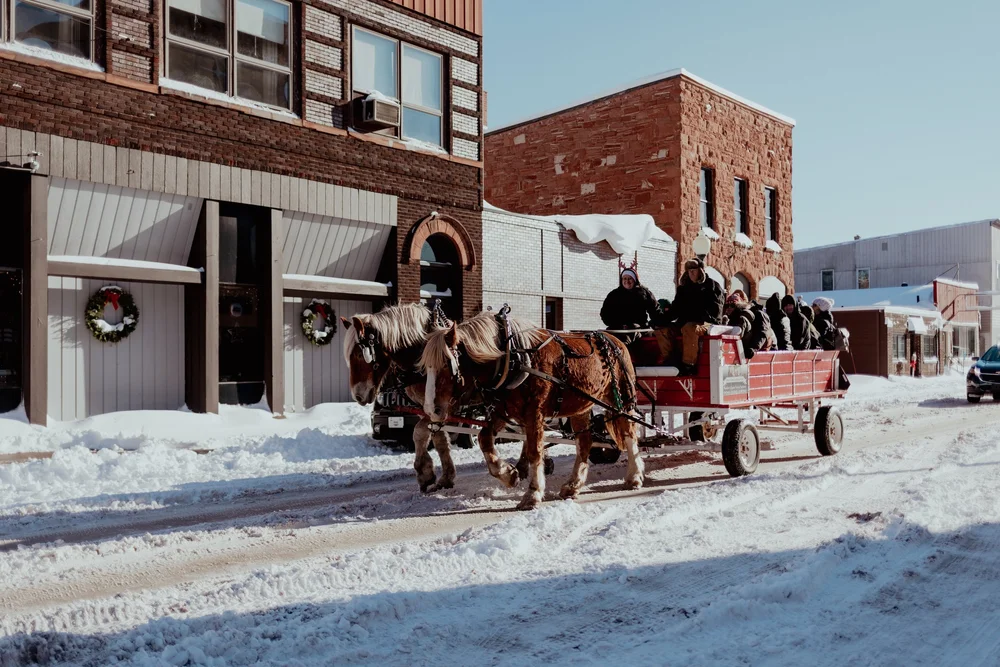10 The Best Trips In Michigan to Celebrate Christmas — Searra Liggett