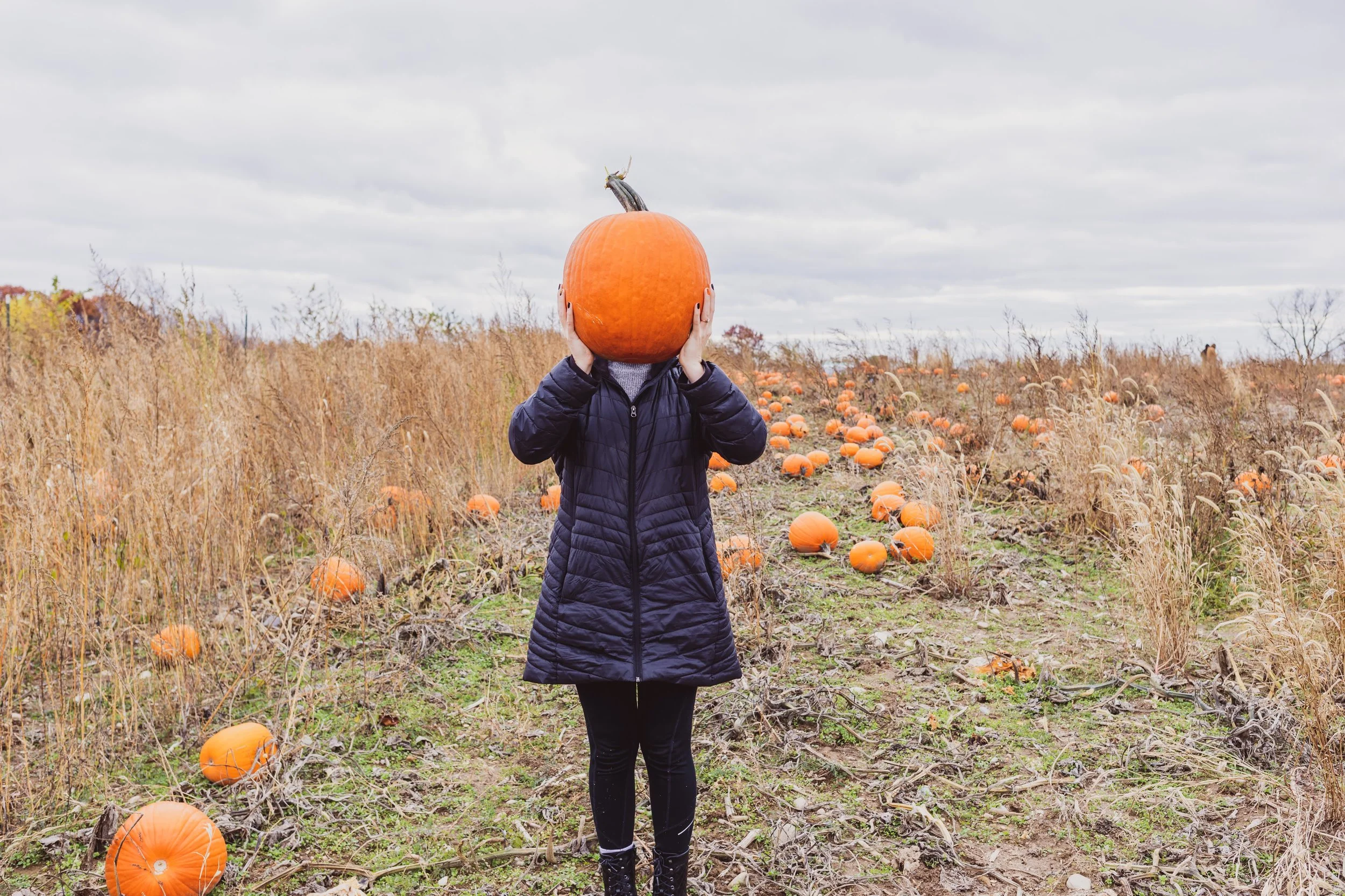 The Complete List of Pumpkin Patches in Michigan — Searra Liggett
