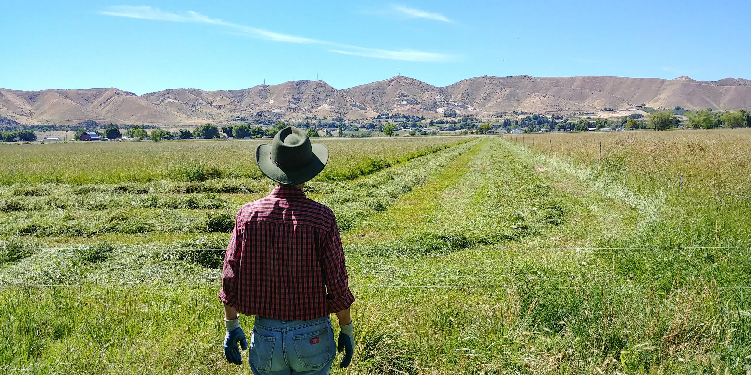 Grass Fed Organic Beef in Greater Boise, Idaho (ID) | Saint John's ...