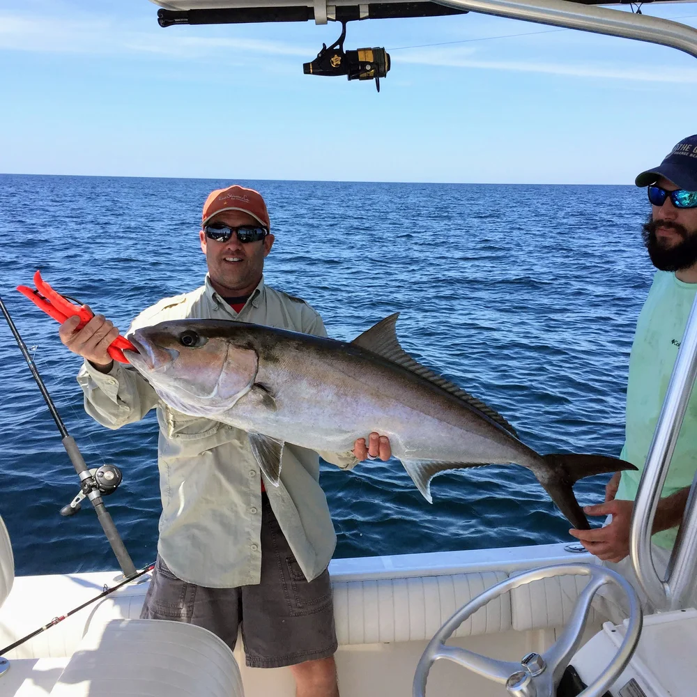 Vertical Jigging and Slow Pitch Tips and Techniques — MDR Tackle