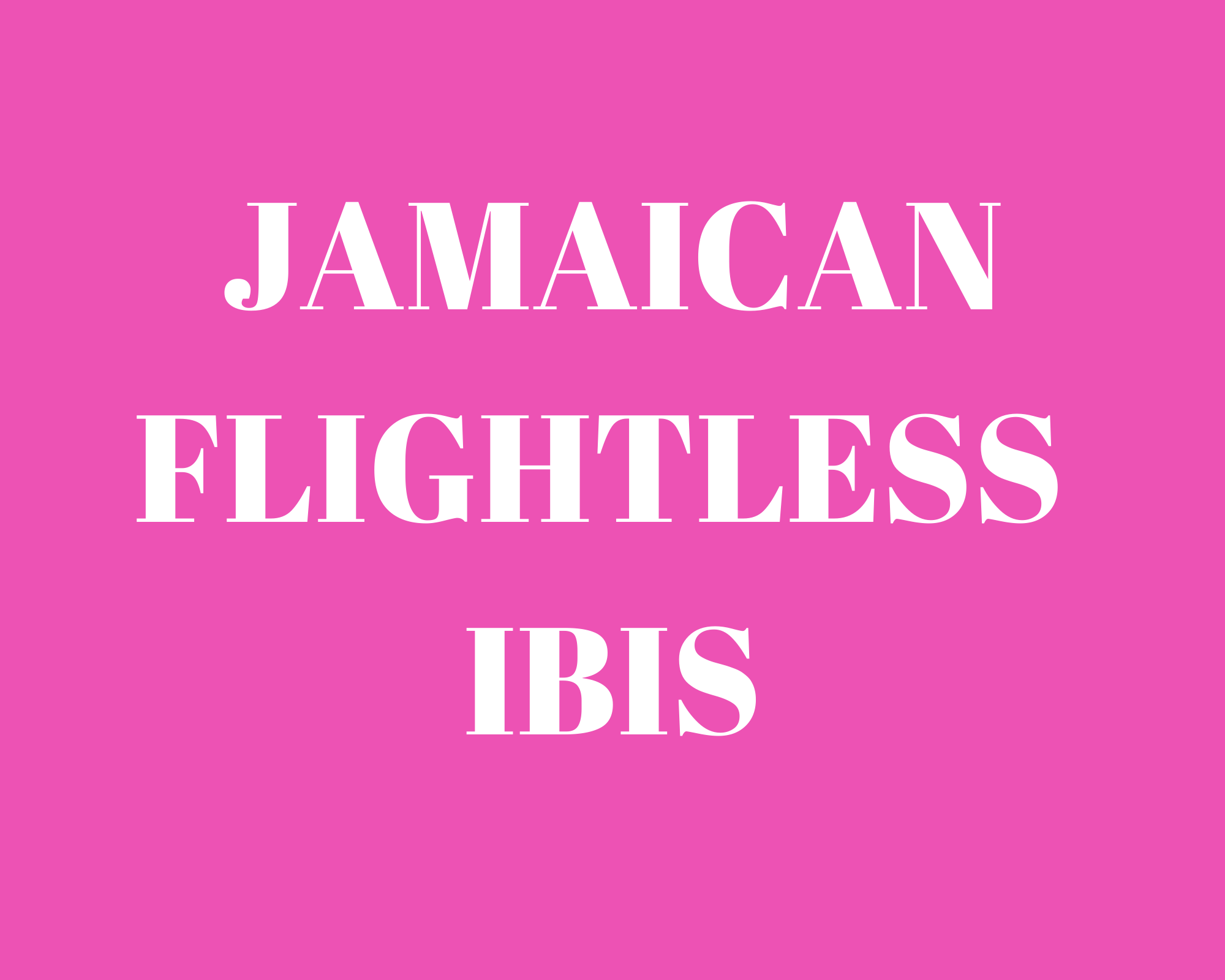 Jamaican Flightless Ibis — Jamaican Petrel