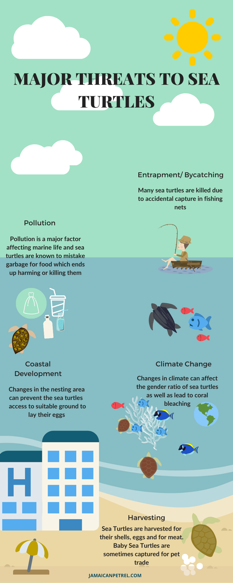 Major Threats to Sea Turtles — Jamaican Petrel