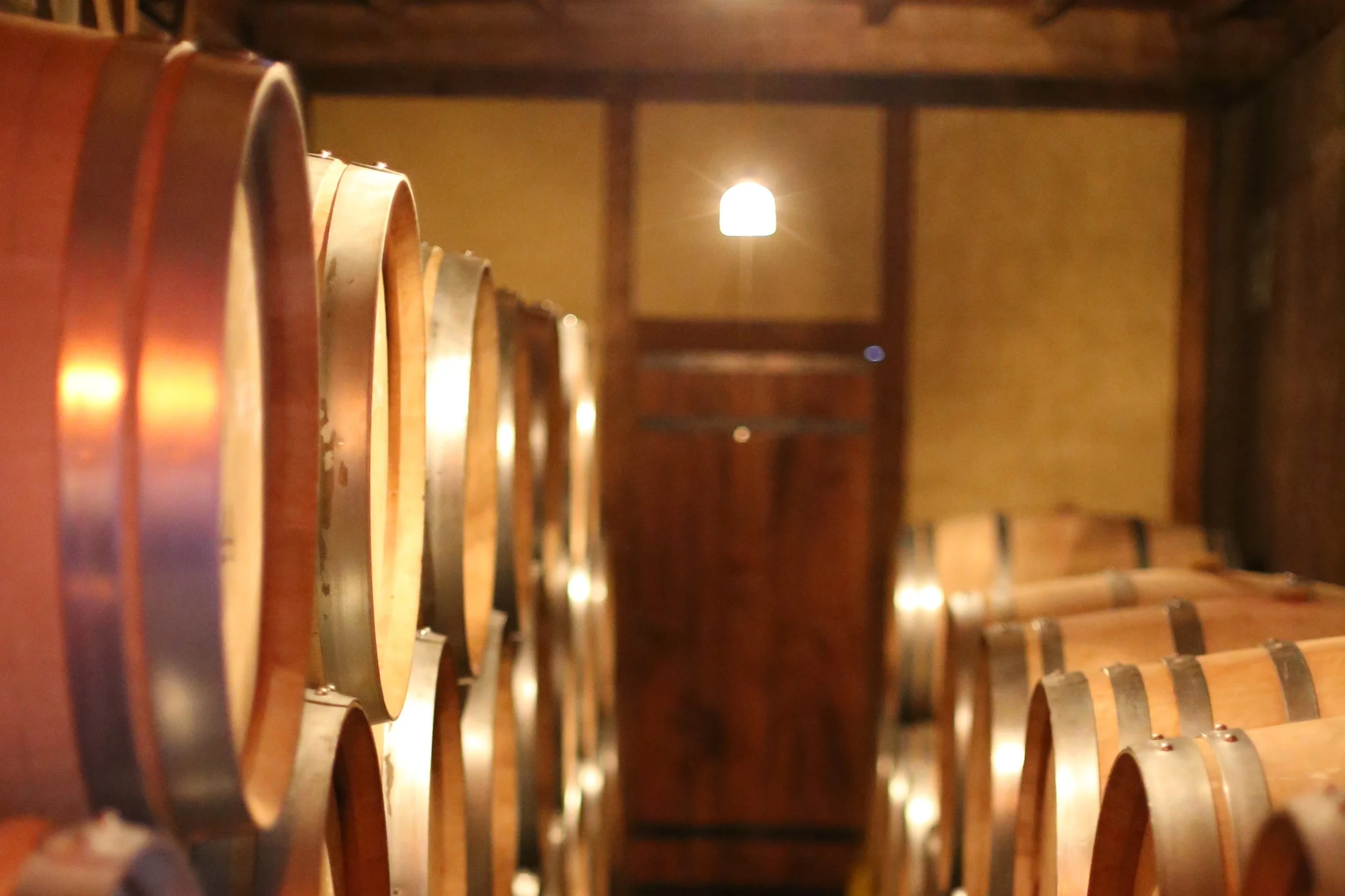 Wine Country — Koshu Valley