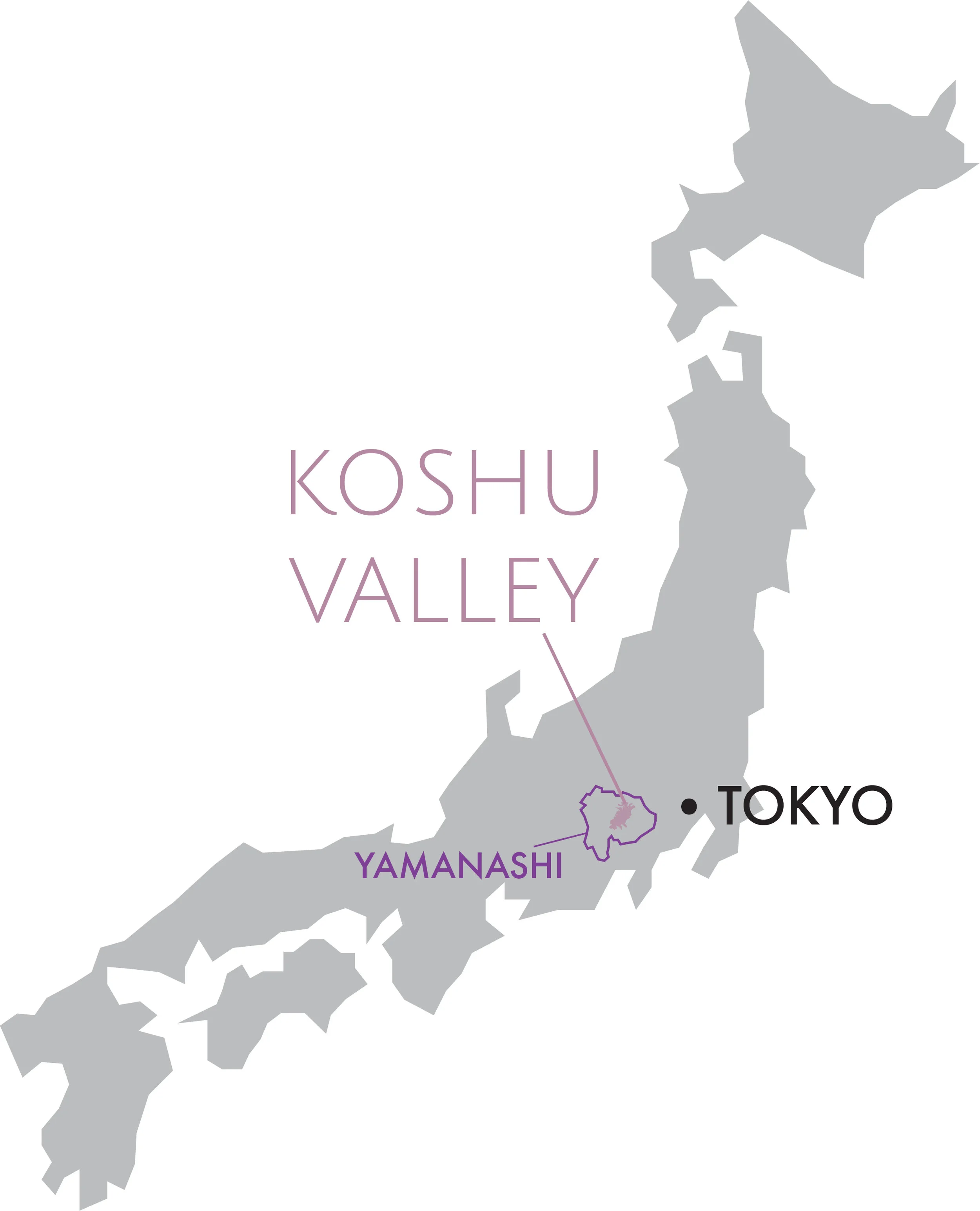 Koshu Valley