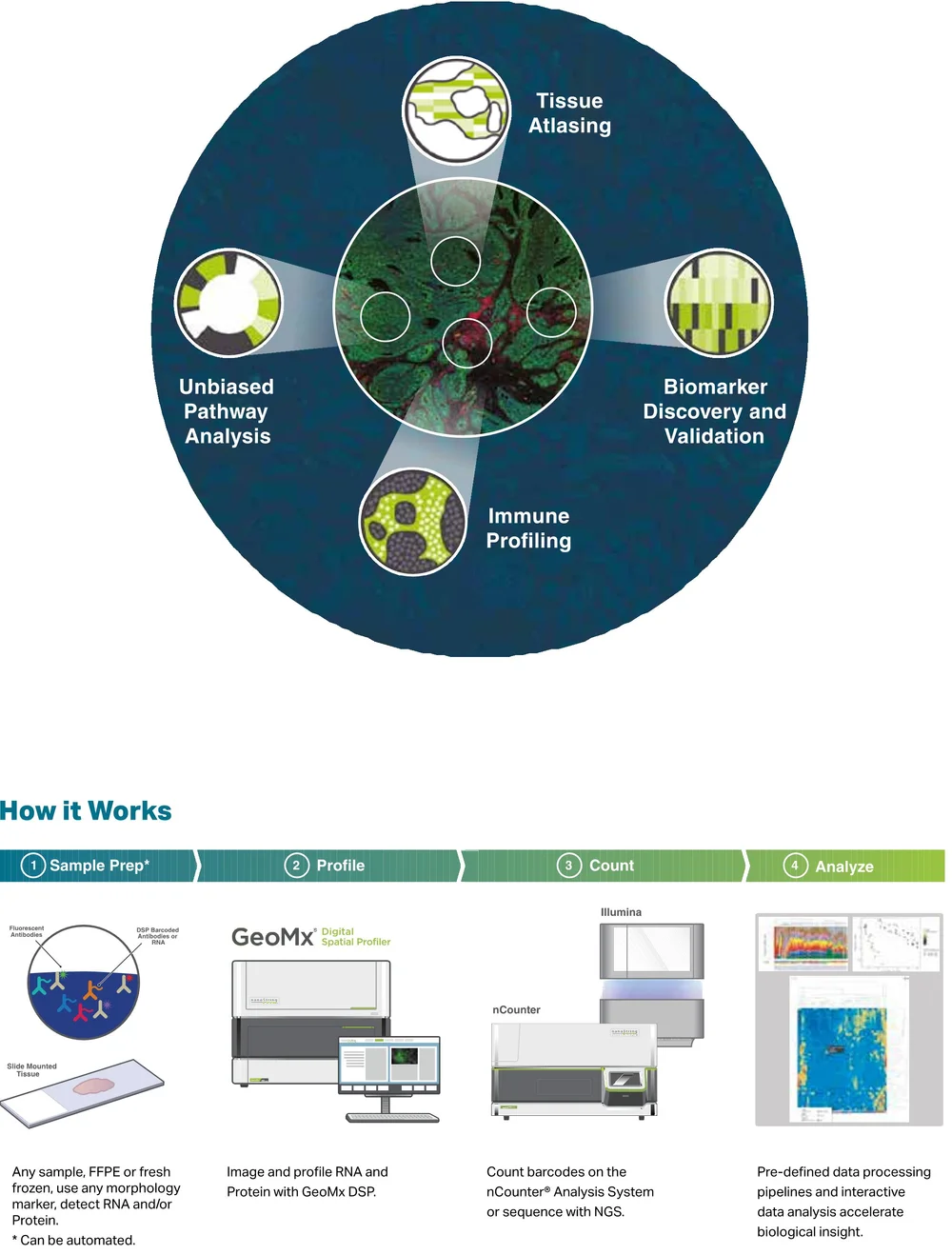 Digital Spatial Profiler — LAS
