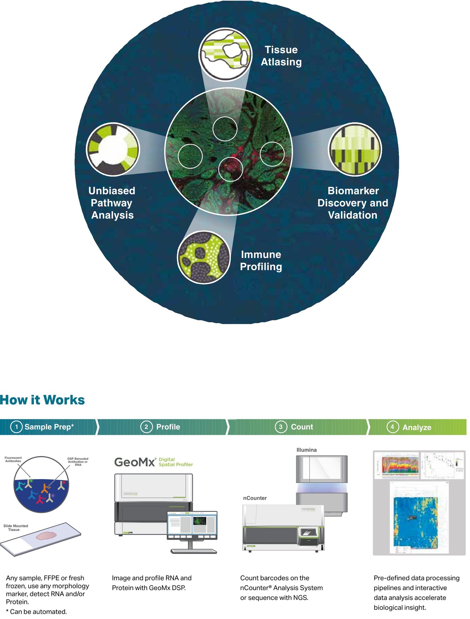 Digital Spatial Profiler — LAS