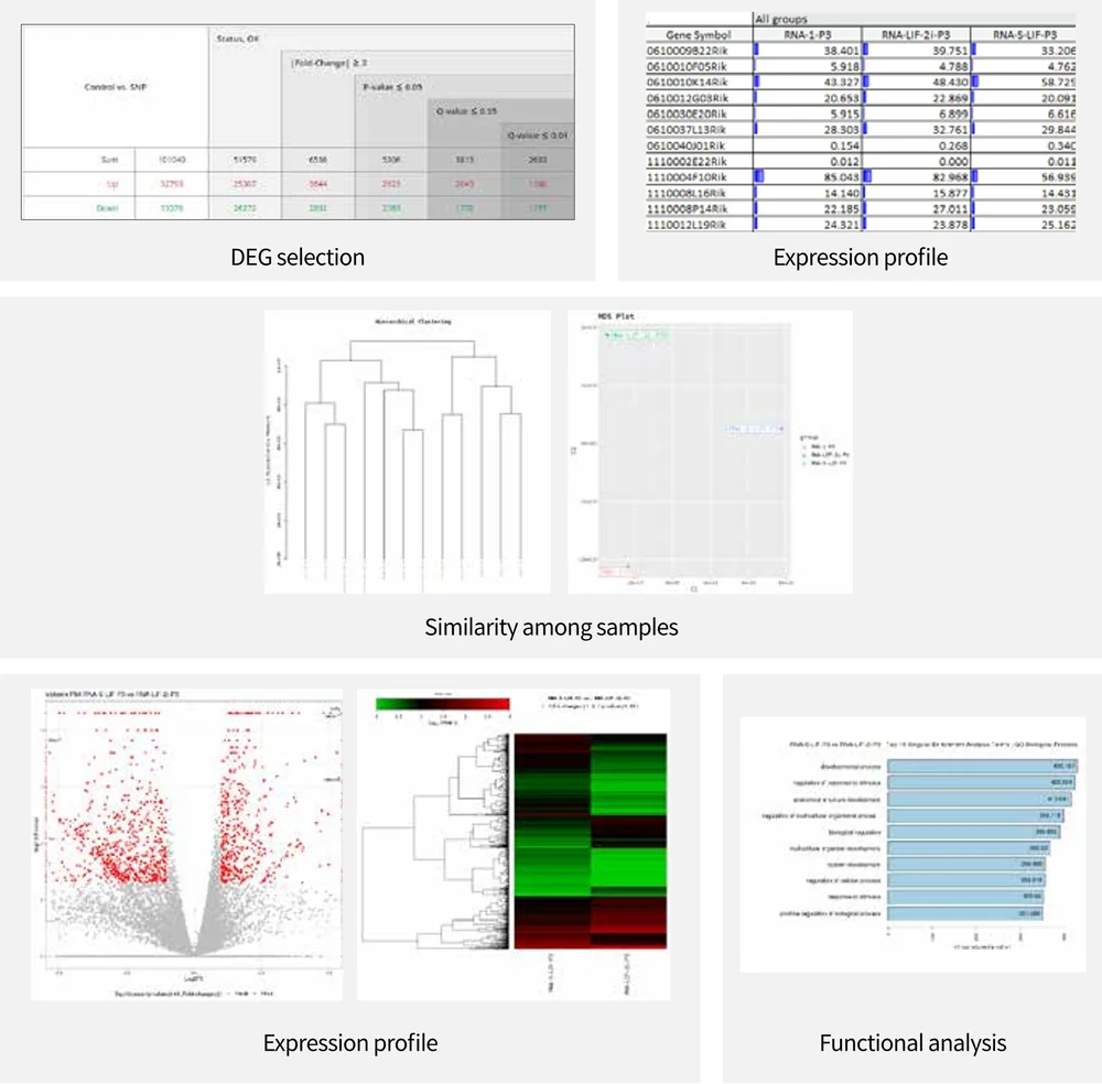 Whole Transcriptome Sequencing — LAS