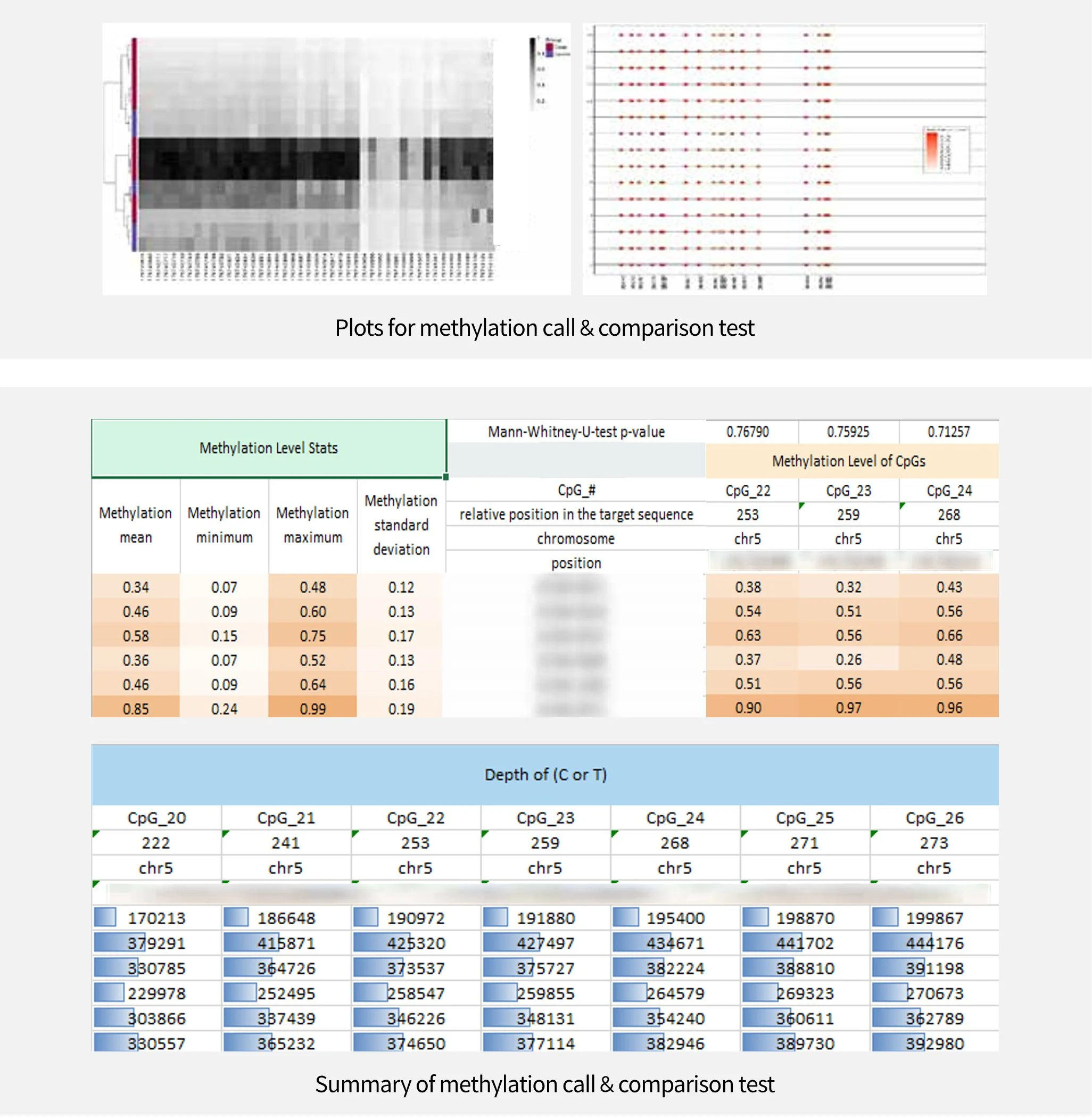Methylation Bisulfite Amplicon Sequencing — LAS