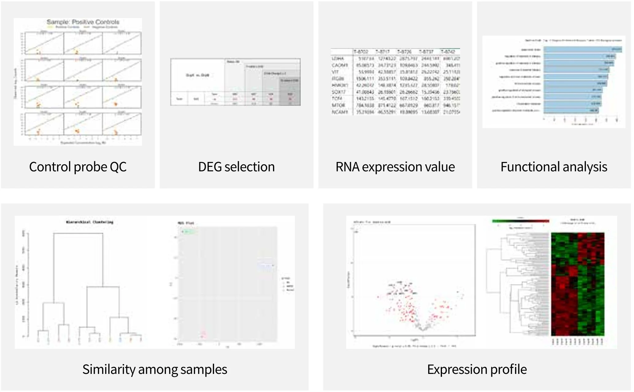 Digital Counting — LAS