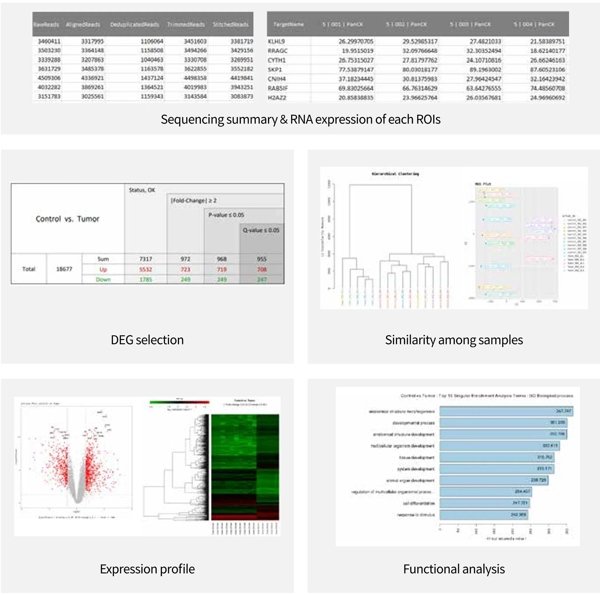 Digital Spatial Profiler — LAS