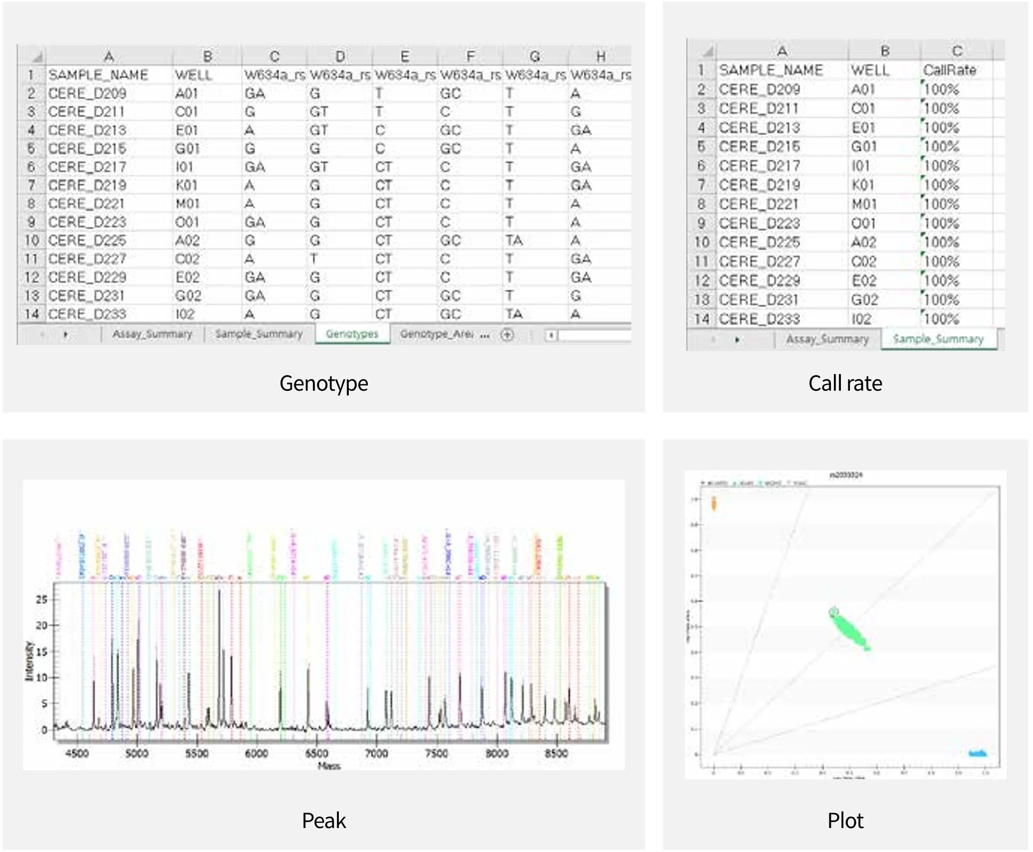 DNA MassARRAY — LAS