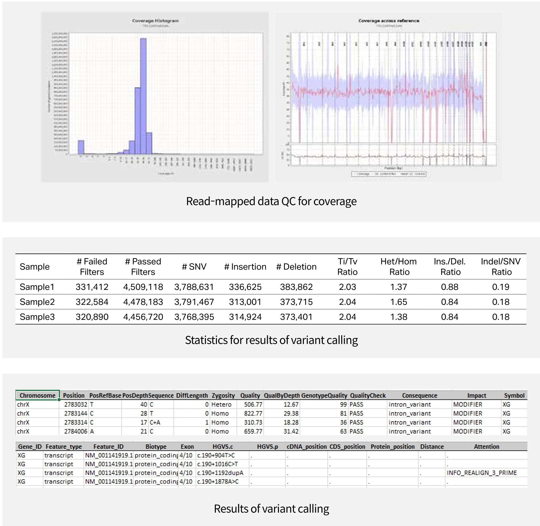 Whole Genome Sequencing — LAS