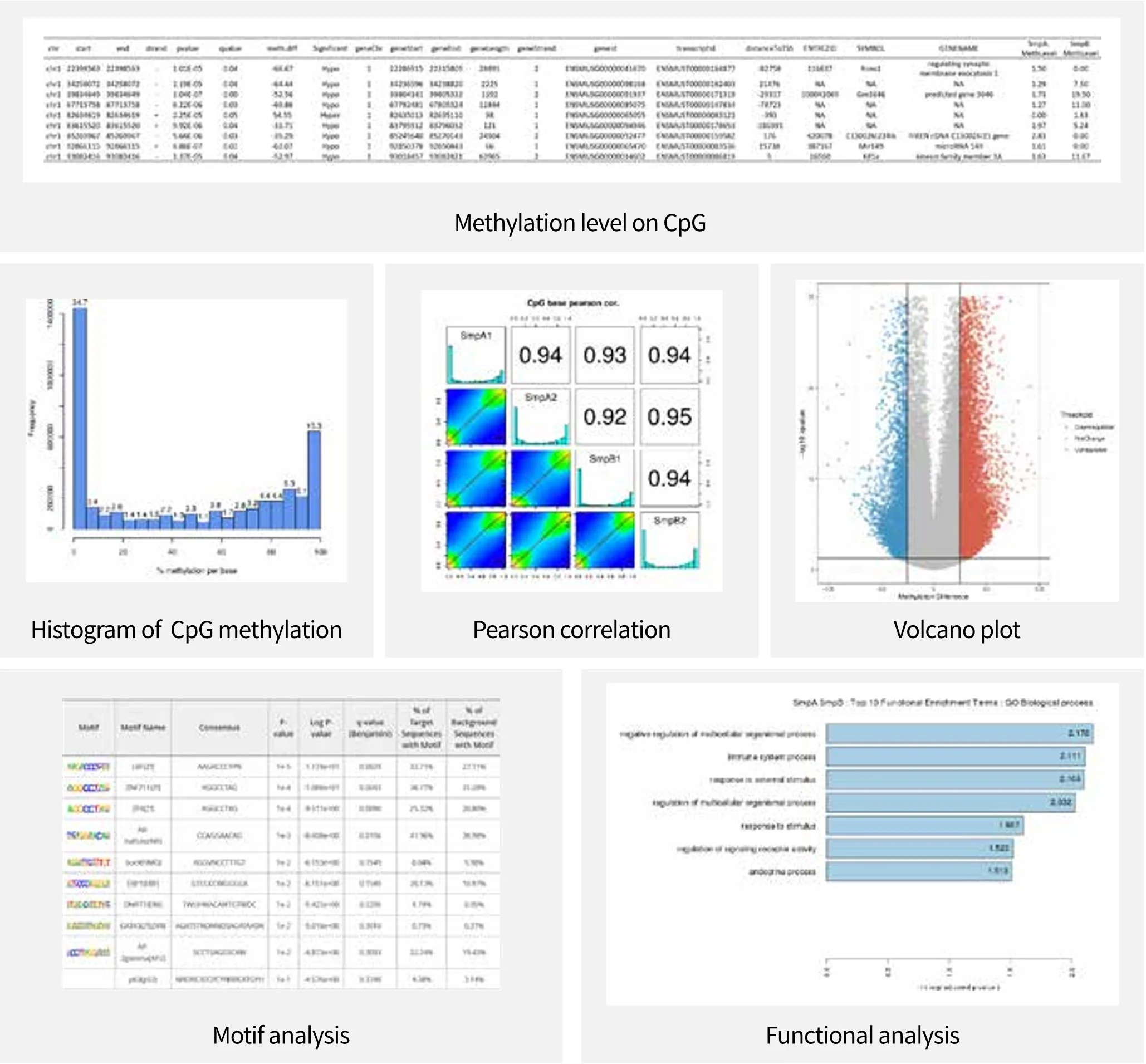 Whole Genome Bisulfite Sequencing — LAS