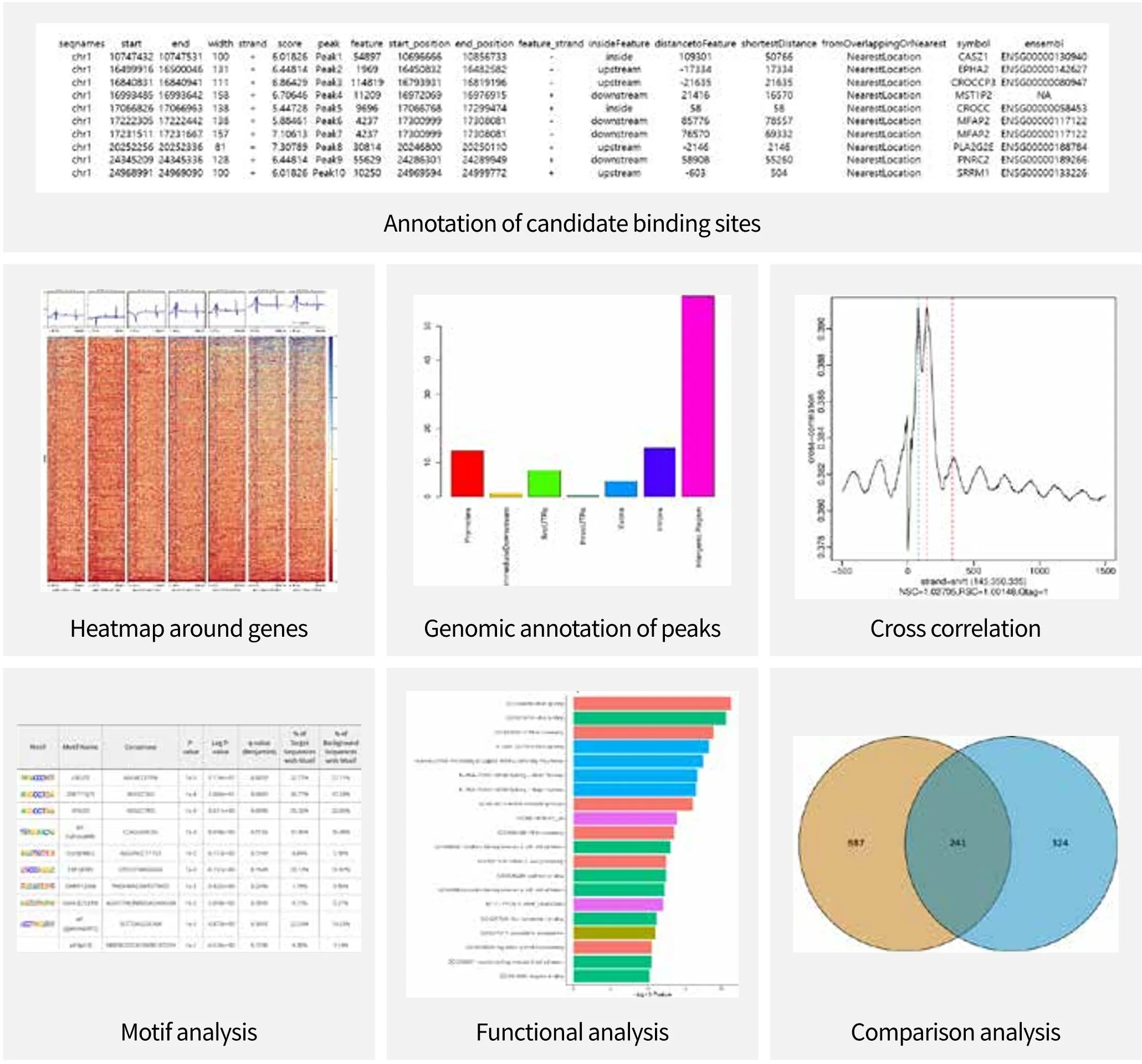 ChIP Sequencing — LAS