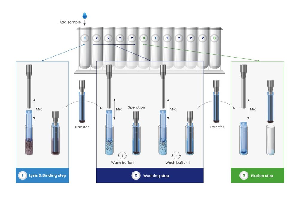 ARA-MAG® AutoEX 48 — LAS