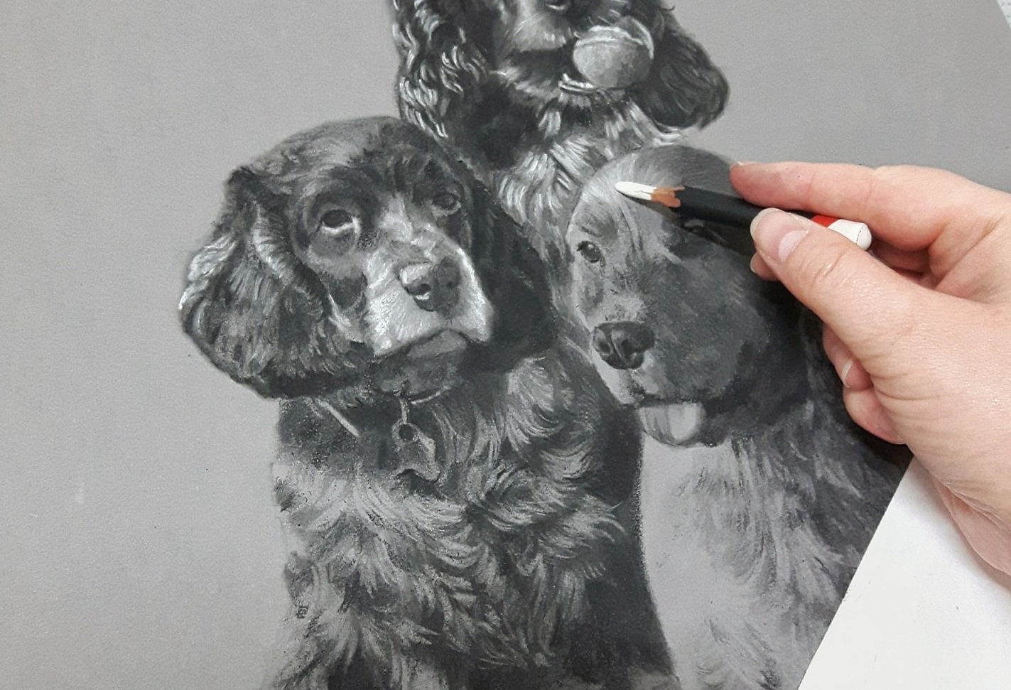 Pet Portraits - Pet artist - Commission Process — Purely Pet Portraits
