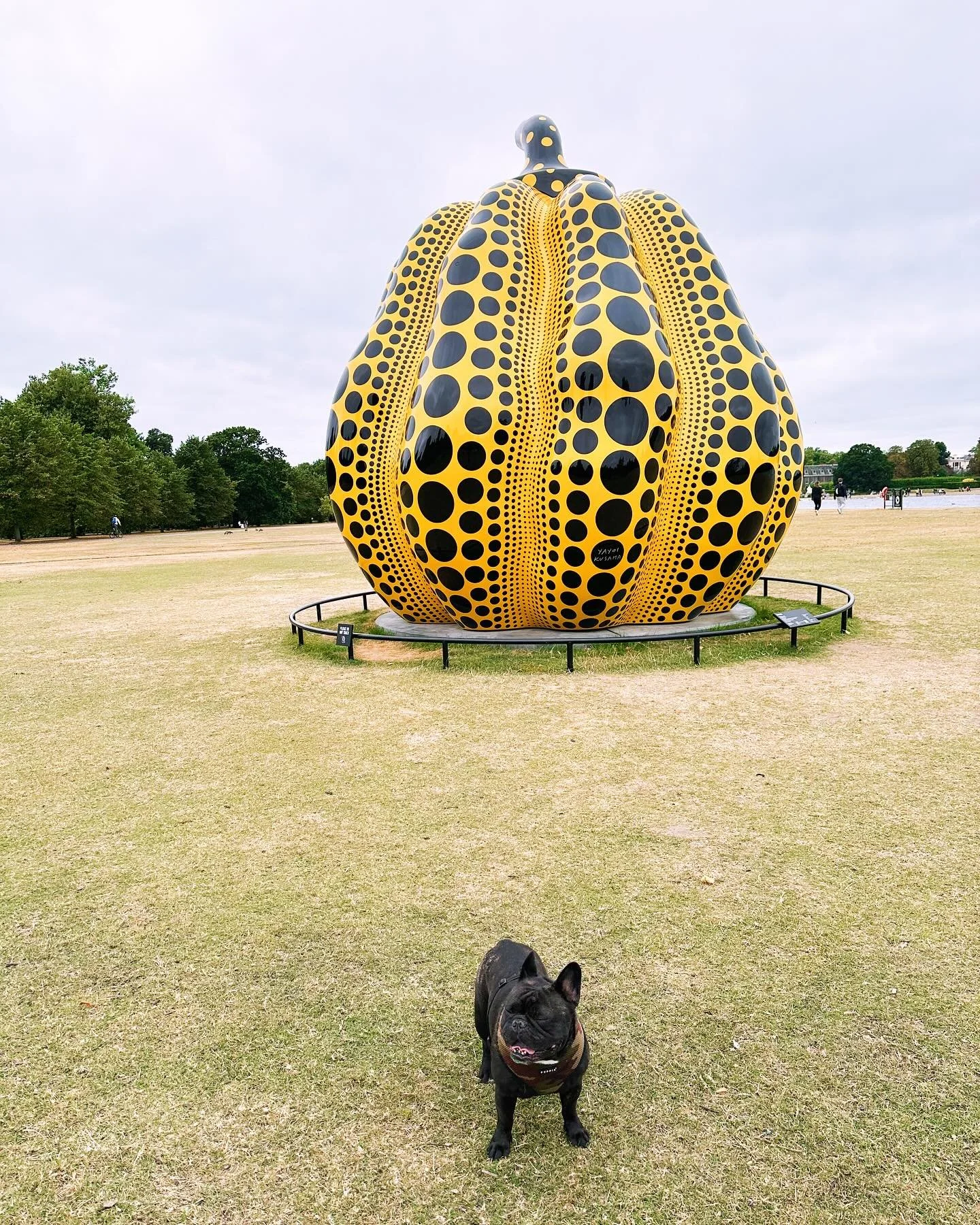 ASL Ceramics by Alex Longmore
