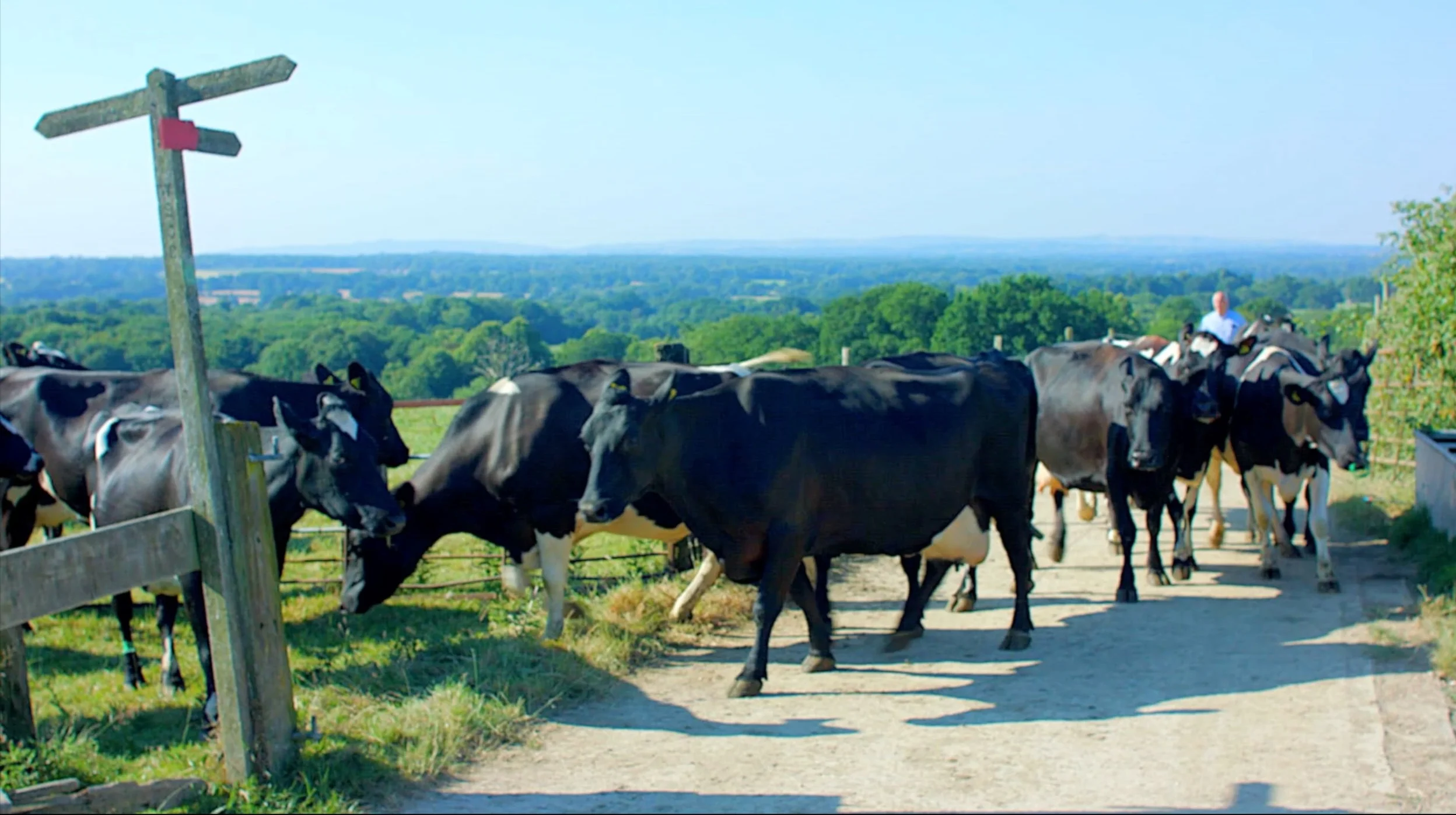 About Us — Bookham Harrison Farms